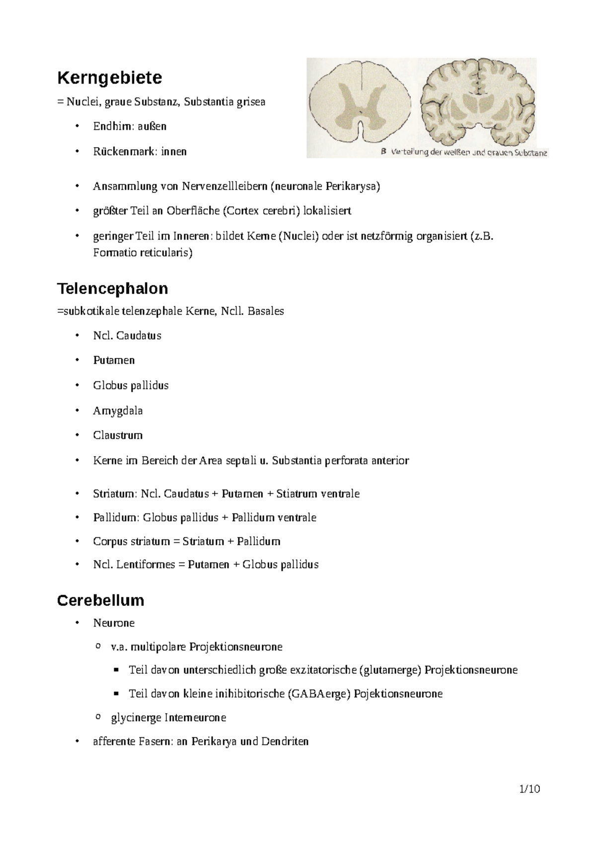 Zusammenfassung - Kerngebiete - Kerngebiete = Nuclei, graue Substanz ...