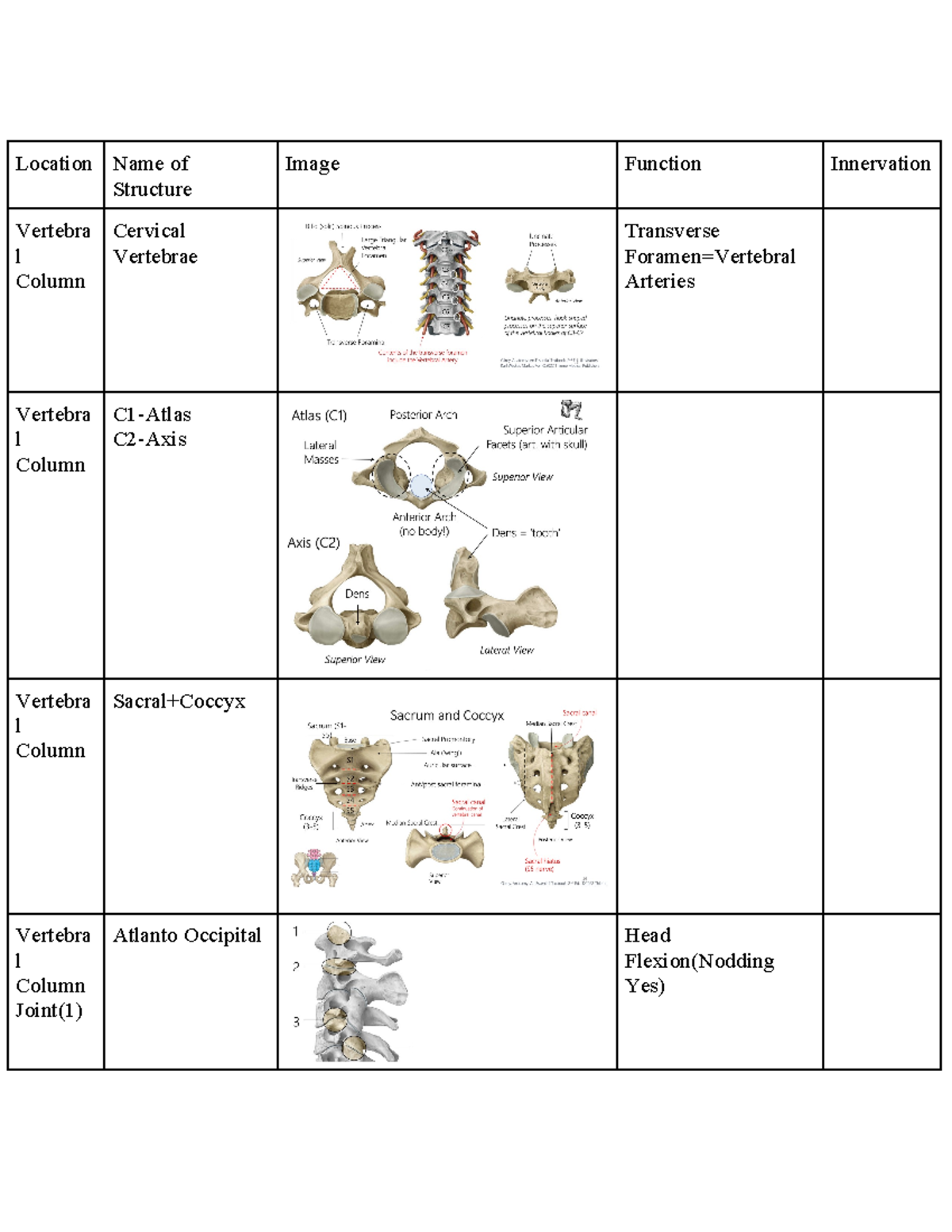 ANAT - notes - Location Name of Structure Image Function Innervation ...