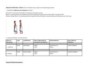 KINE 326 Reading Questions #4 RMR - KINE 326 Exercise Physiology ...
