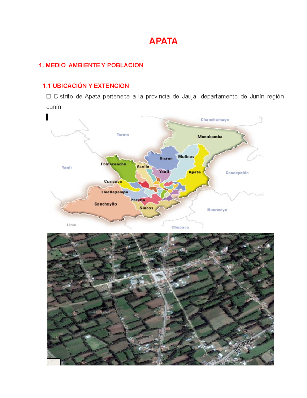 311230042- Apata - FORMATO - APATA 1. MEDIO AMBIENTE Y POBLACION 1 ...