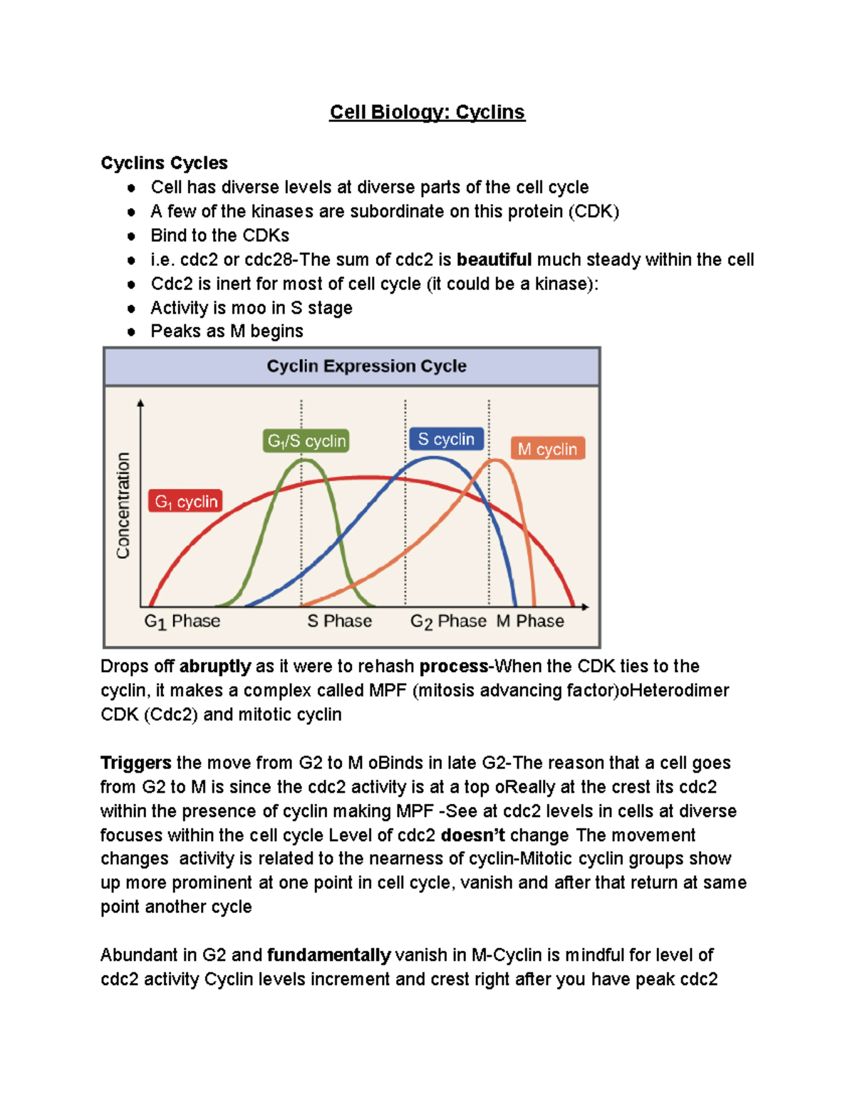 Cell Biology Cyclins - Cell Biology: Cyclins Cyclins Cycles Cell has ...