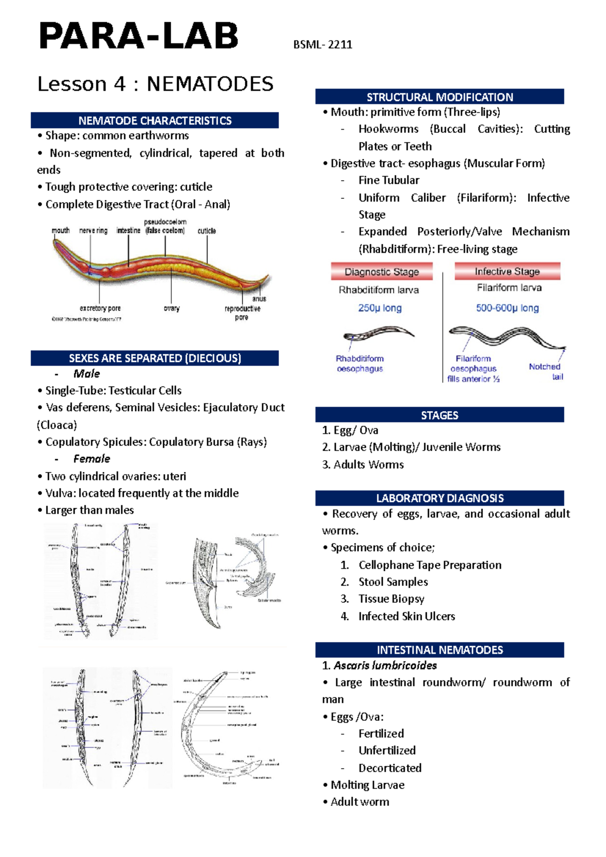 PARA-LAB Nematodes - Medical Laboratory Science - Lesson 4 : NEMATODES NEMATODE CHARACTERISTICS ...