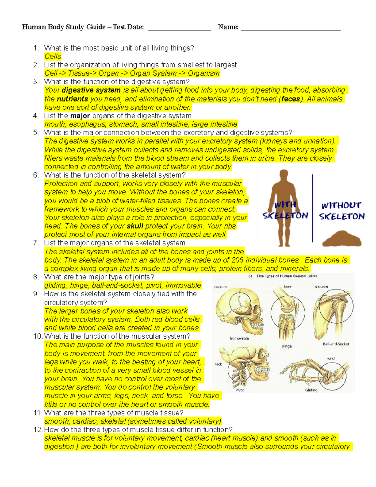 Human Body Study Guide Answers Updated 2016 Human Body Study Guide 