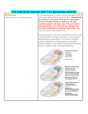 Adolescent Who Has a Possible STI System Disorder - ACTIVE LEARNING ...