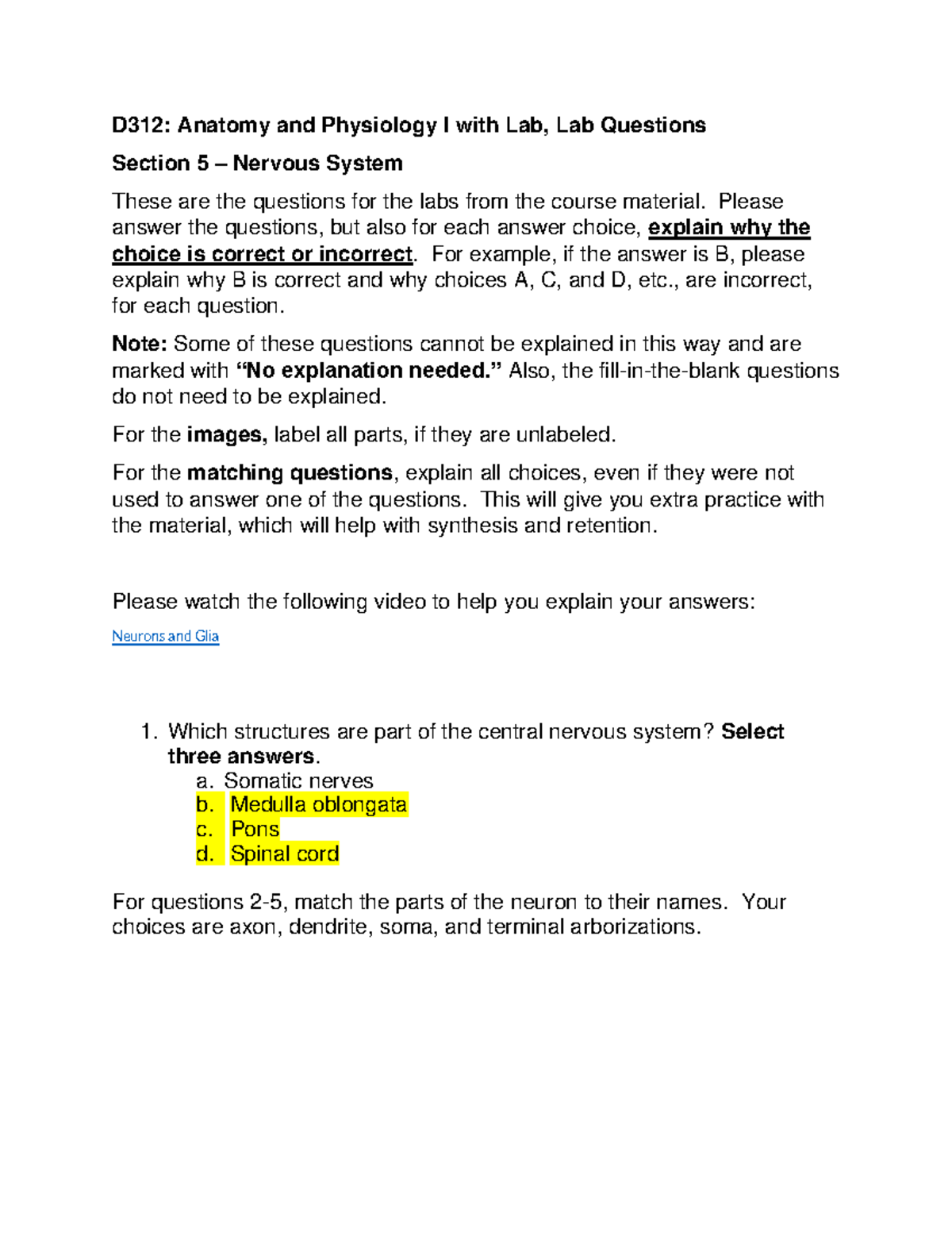 9:8:24 D312 Section 5 - Nervous System - D312: Anatomy and Physiology I ...