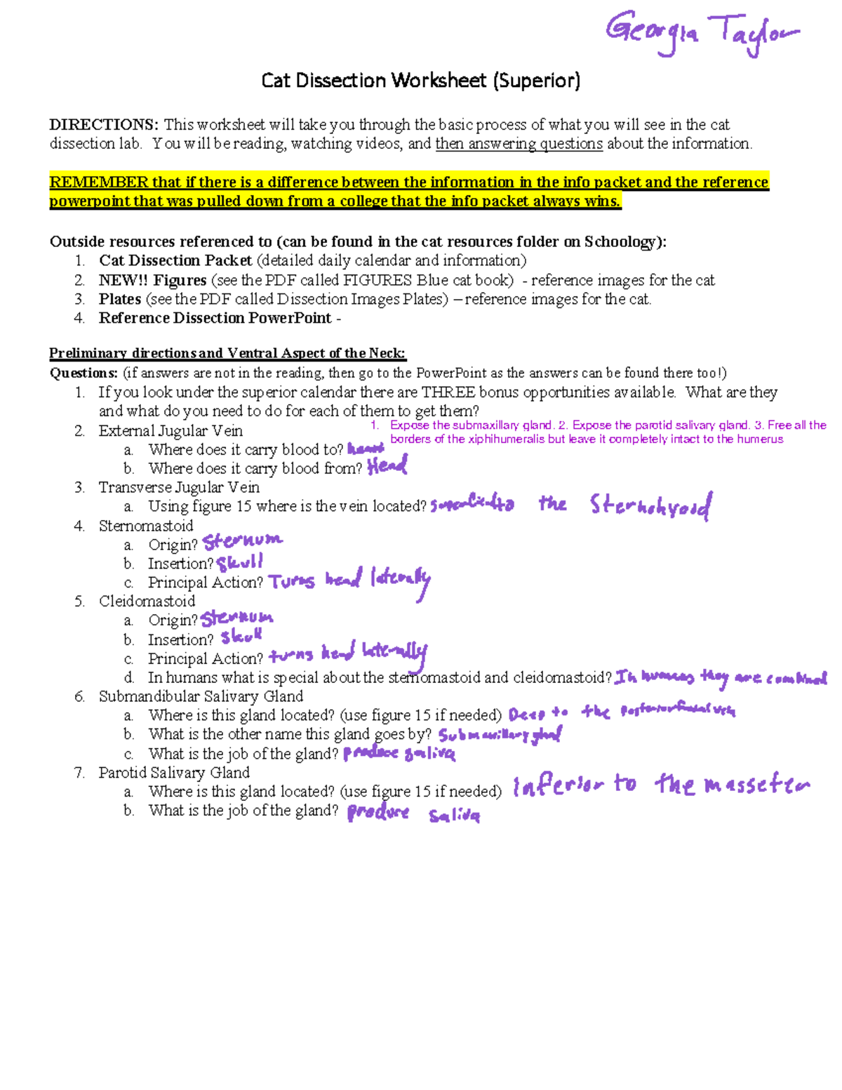 Superior cat dissection worksheet - Cat Dissection Worksheet (Superior ...