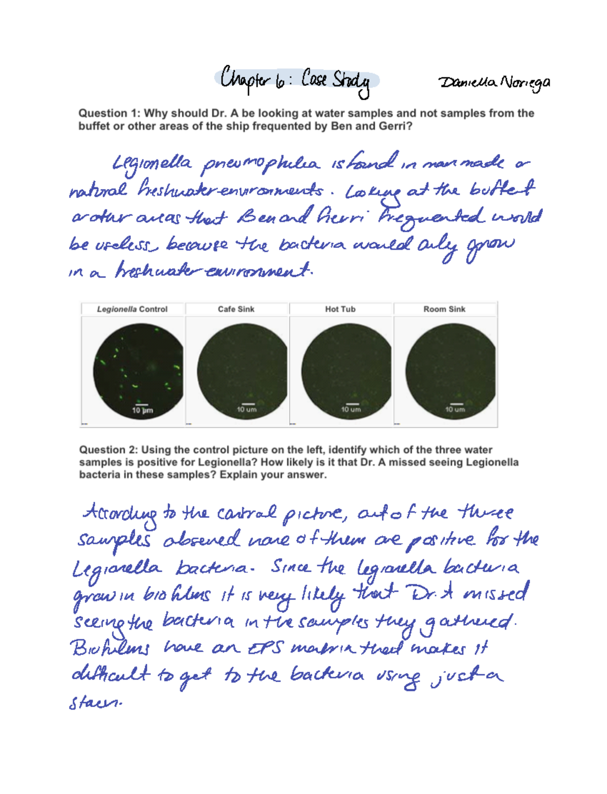BMS 90 Biofilm Case study - BMS 90 - Studocu