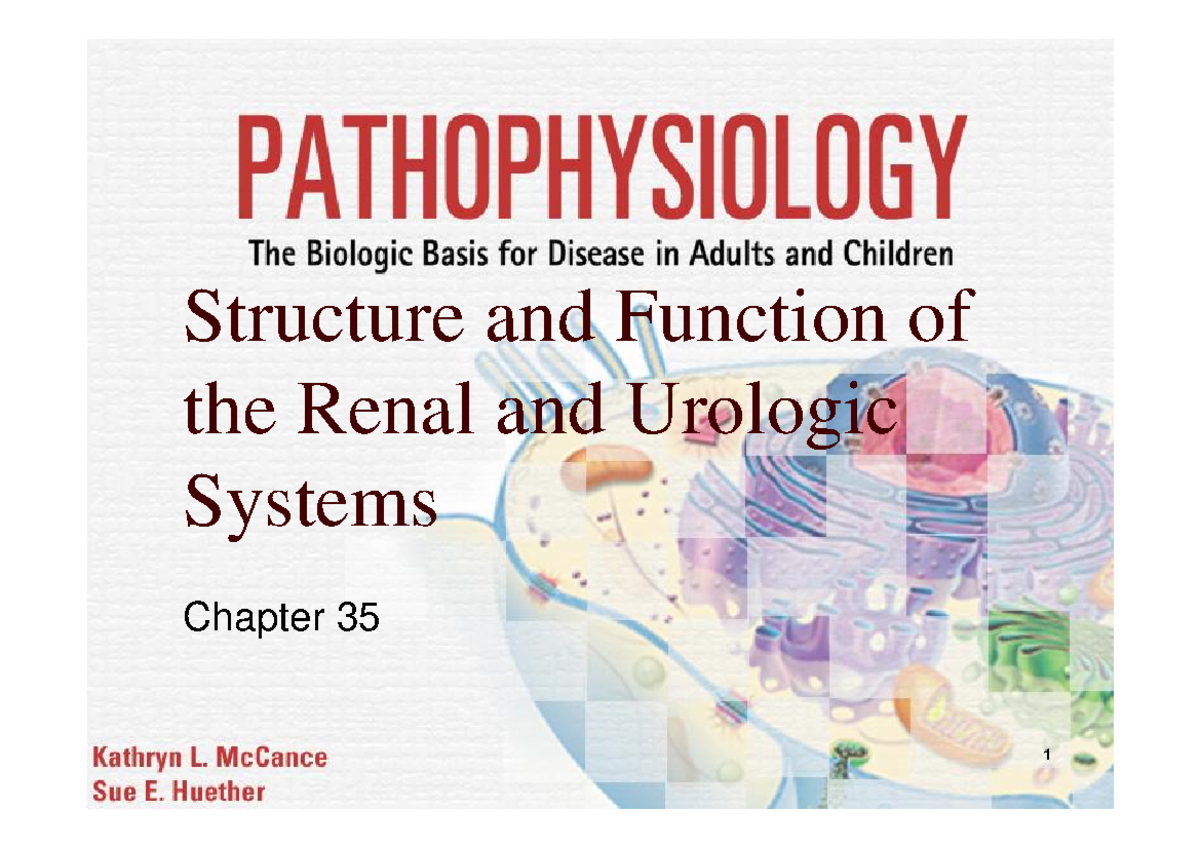 Reviewanatomyandphysiologykidney-100207163518-phpapp 02 - 1 Structure ...