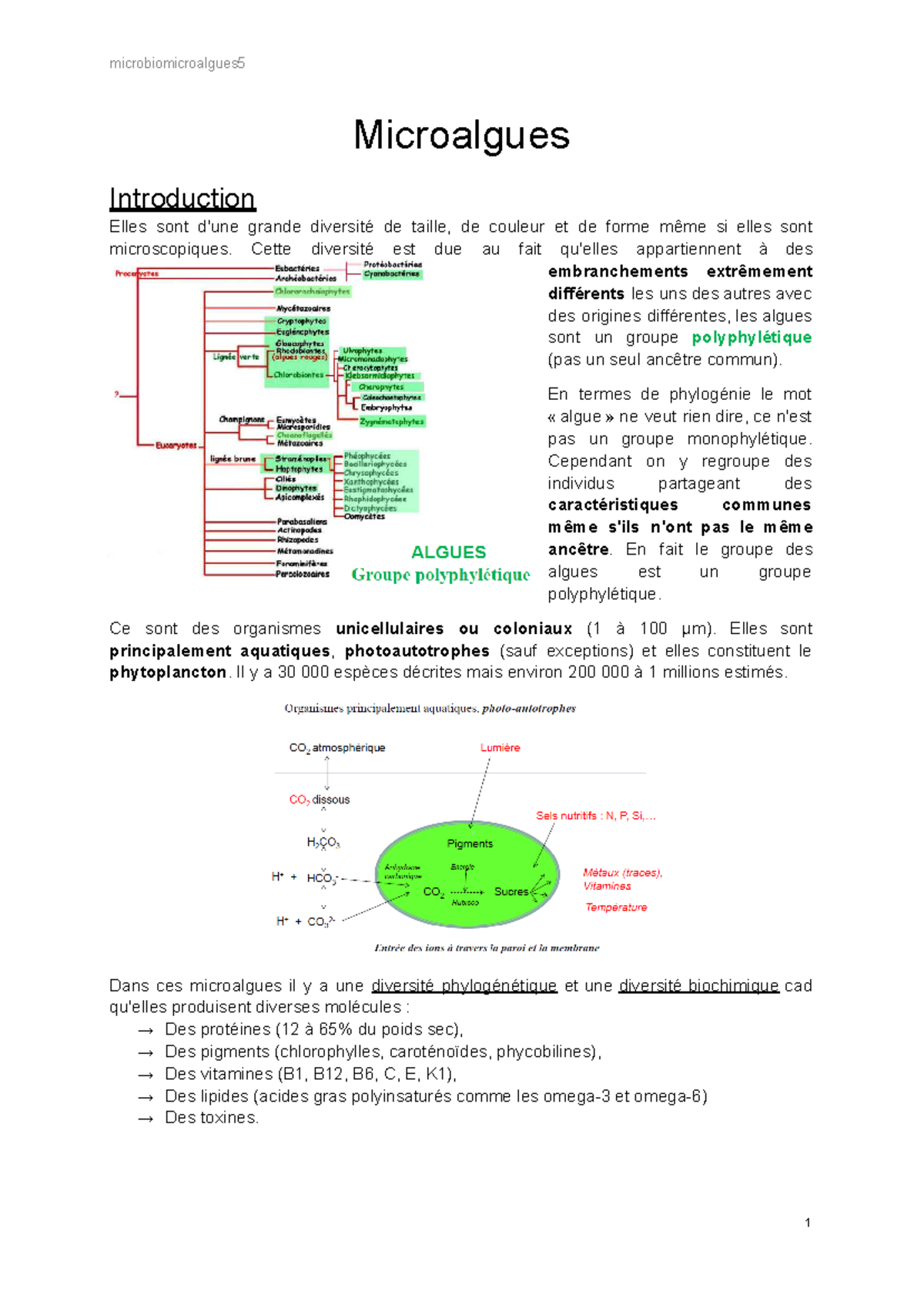 Microalgues - cours de microbio - Microalgues Introduction Elles sont d'une grande diversité de ...