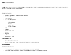 PUD conncept map - PUD Concept Map - DISEASE EXEMPLAR ETIOLOGY PEPTIC ...