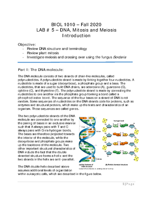 Biol 2030- Lab 1- Pre-Lab Assignment- F2023 - 1 | P a g e Please ...