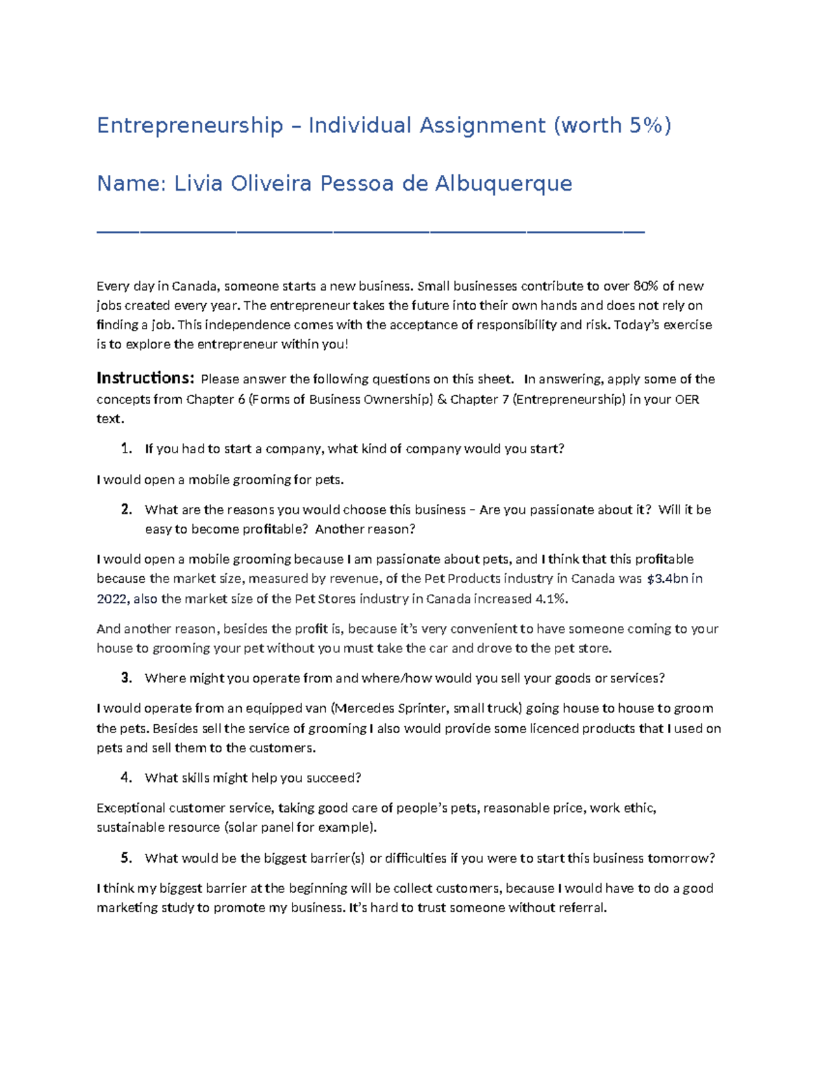 Assignment - Entrepreneurship In Class - Entrepreneurship – Individual ...