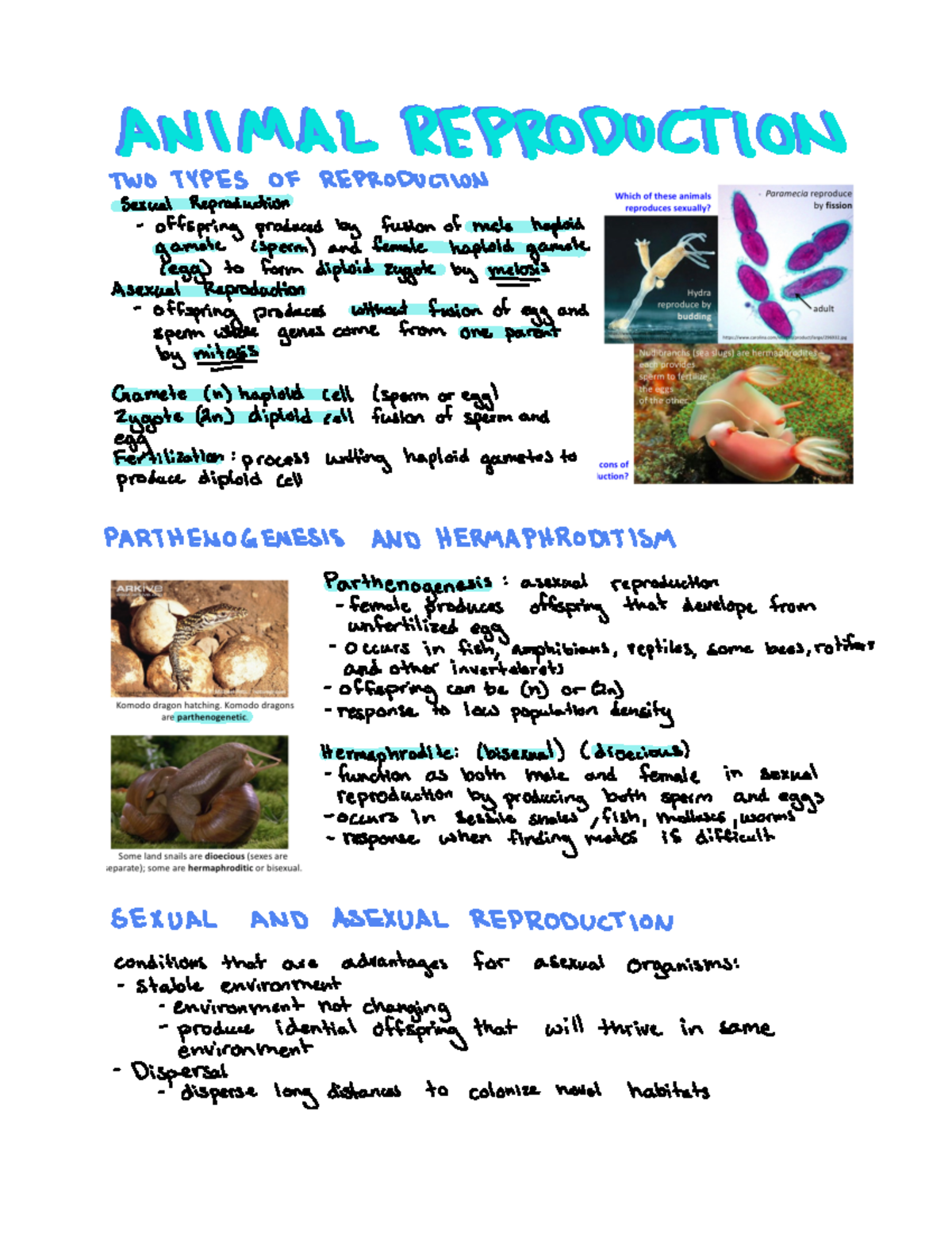Animal Reproduction - Very good lecture notes with detailed examples ...