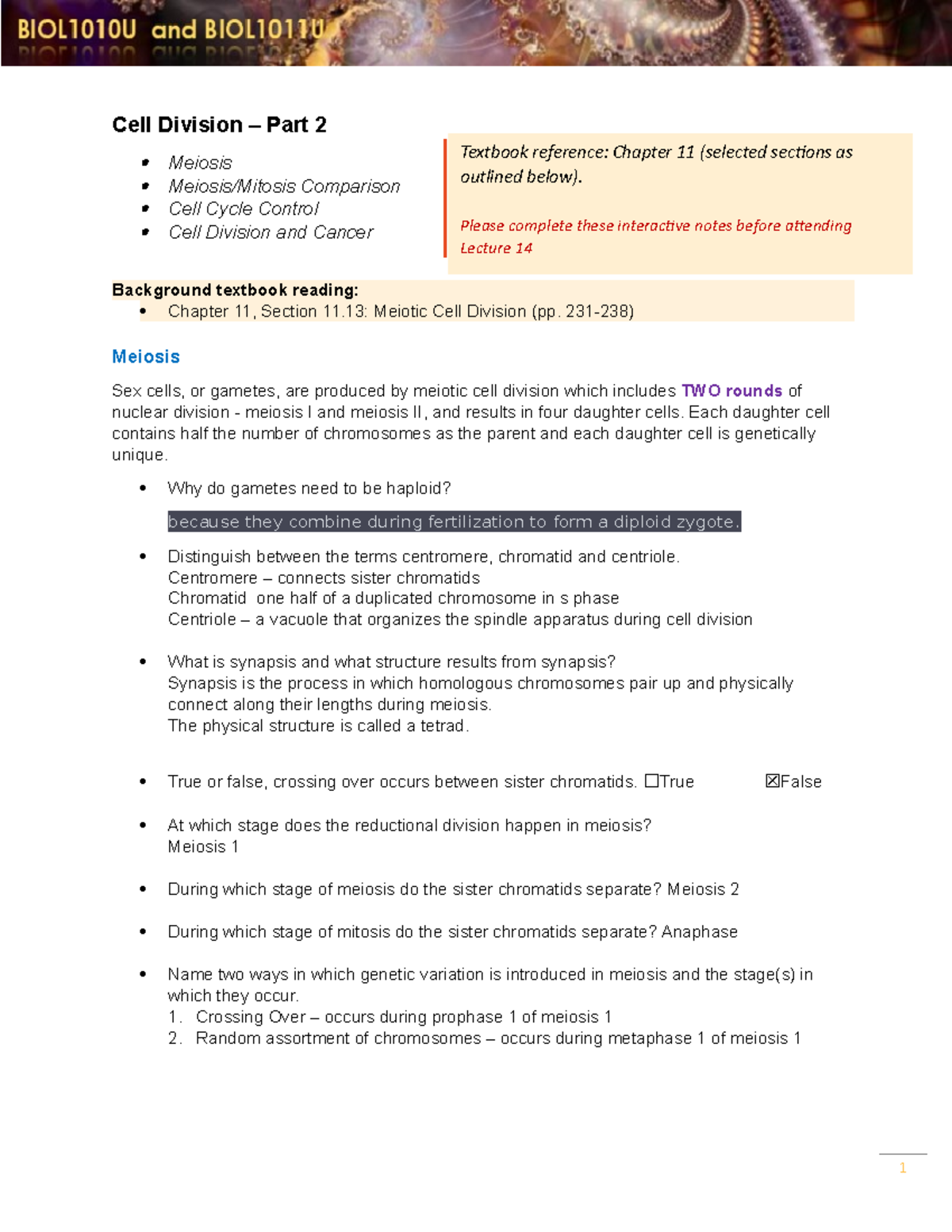 L14 Cell Division 2 Interactive notes Fall 2022-1 - Cell Division ...