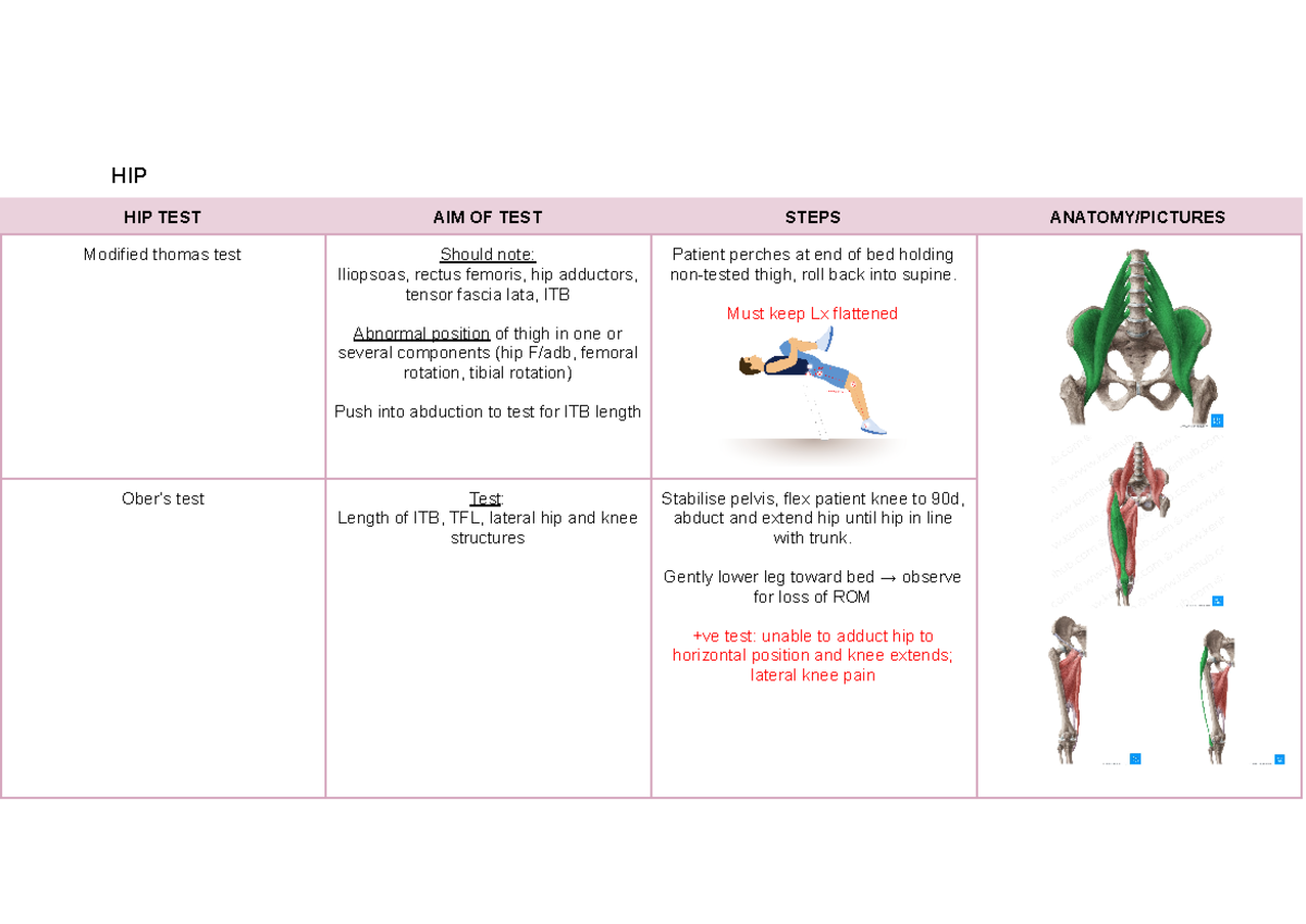 Musculoskeletal Physiotherapy I - Laboratory Summary - HIP HIP TEST AIM ...
