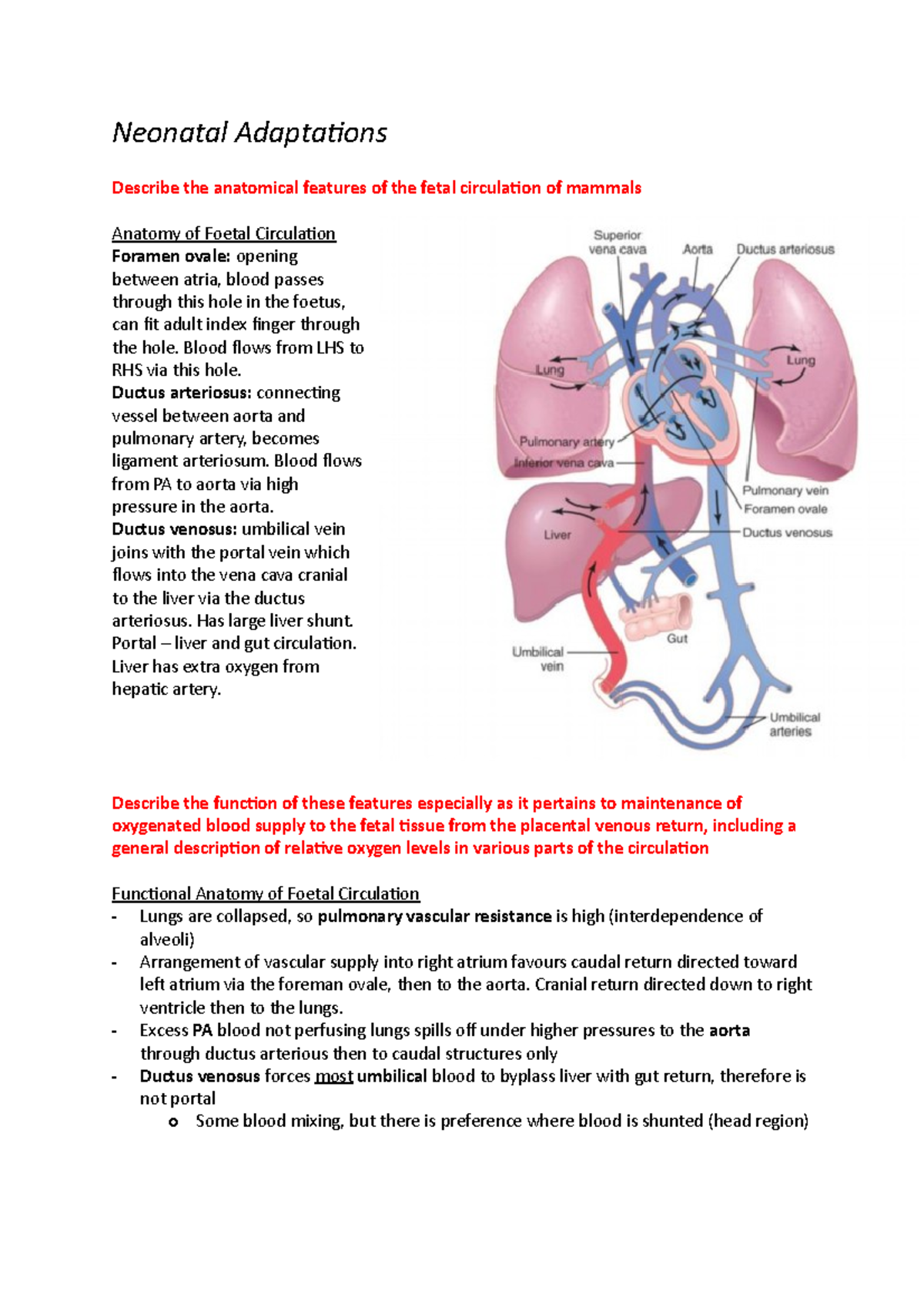Cardio-respiratory physiology - Neonatal Adaptations Describe the ...