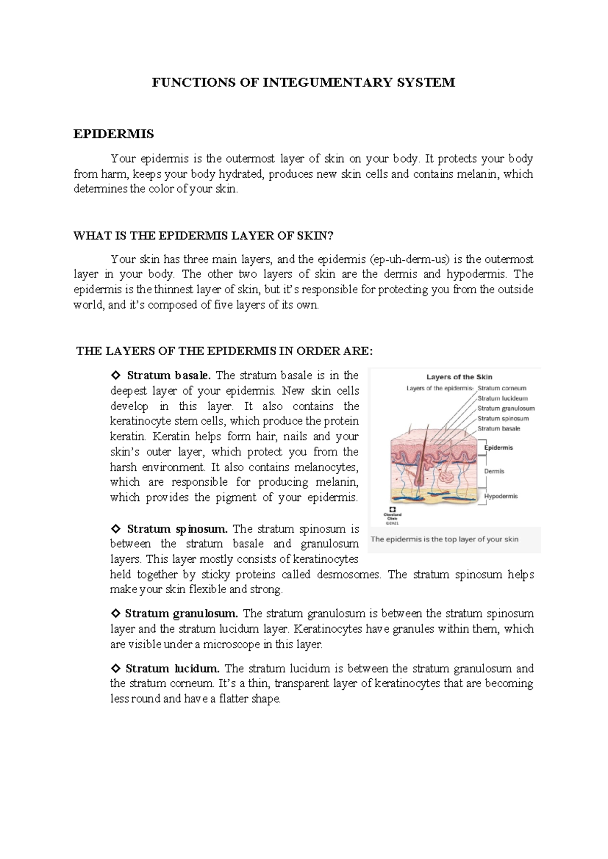 Functions OF Integumentary System - FUNCTIONS OF INTEGUMENTARY SYSTEM ...