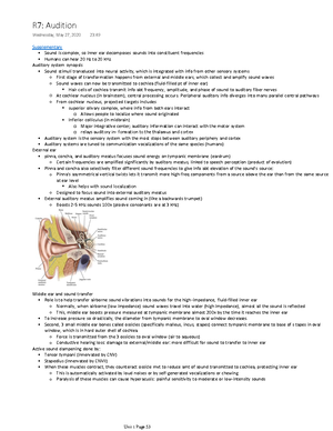 Unit 3 Reading 4 Basal Ganglia - Influences mvt by regulating UMNs Groups of motor nuclei of ...