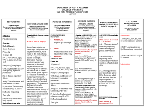 Risk for peripheral neurovascular dysfunction careplan - UNIVERSITY OF ...