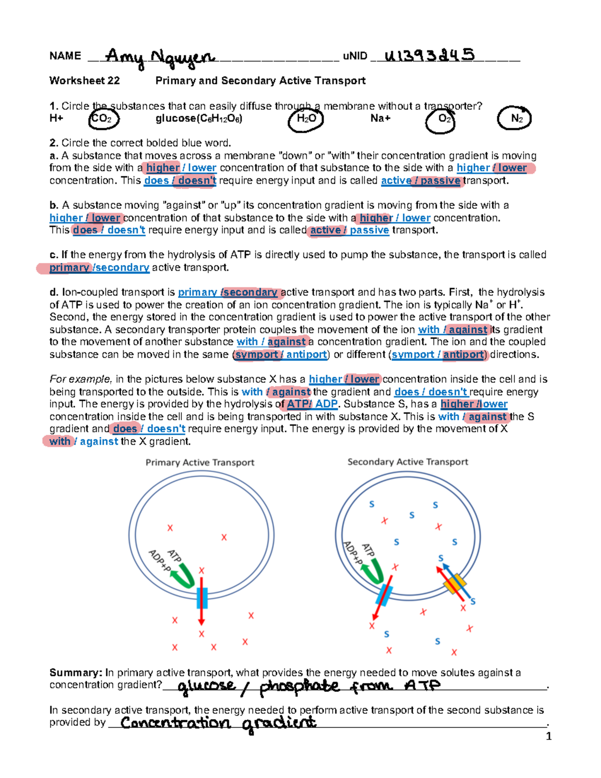 Worksheet class 22 - 1 NAME ...
