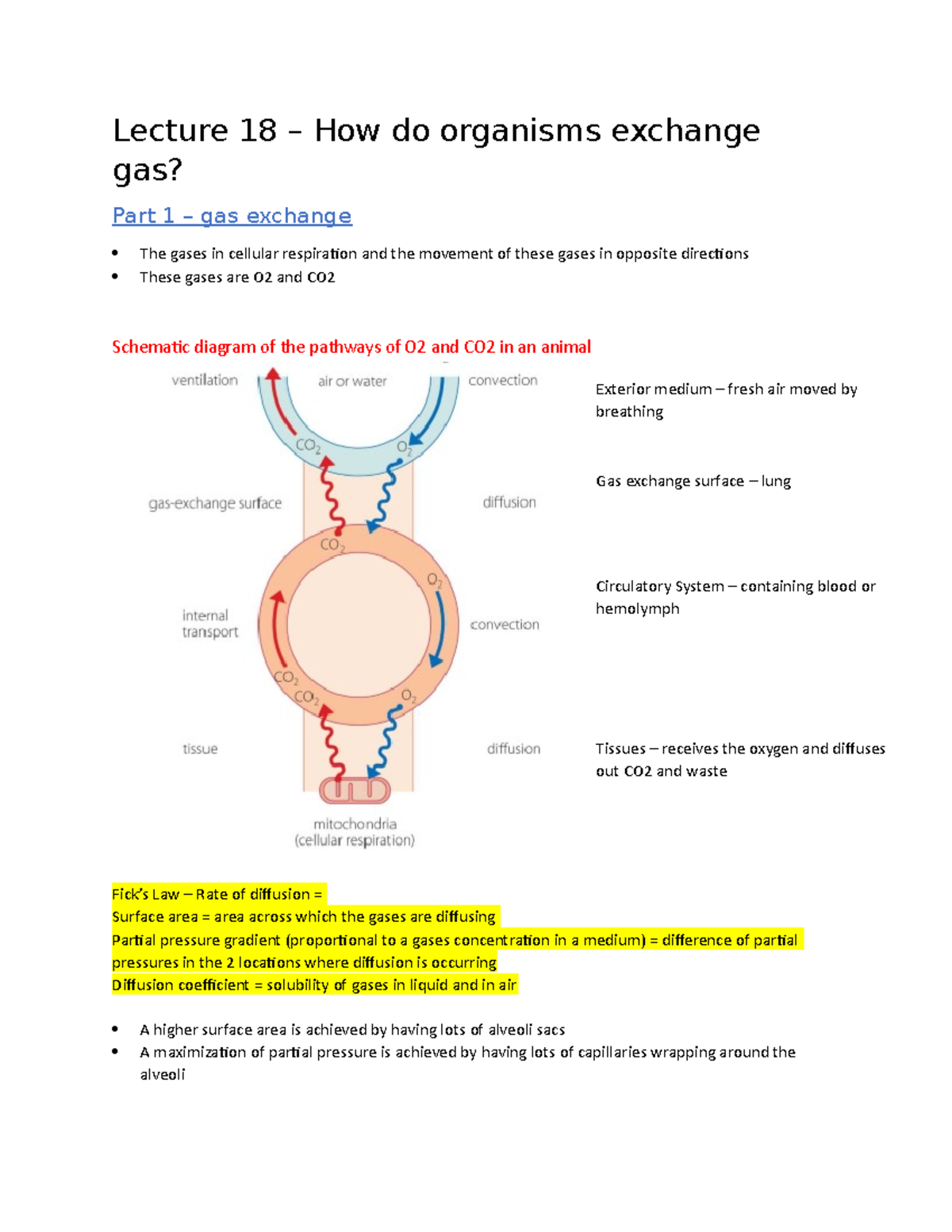 Lecture 18 - Gas Exchange - Lecture 18 – How do organisms exchange gas ...
