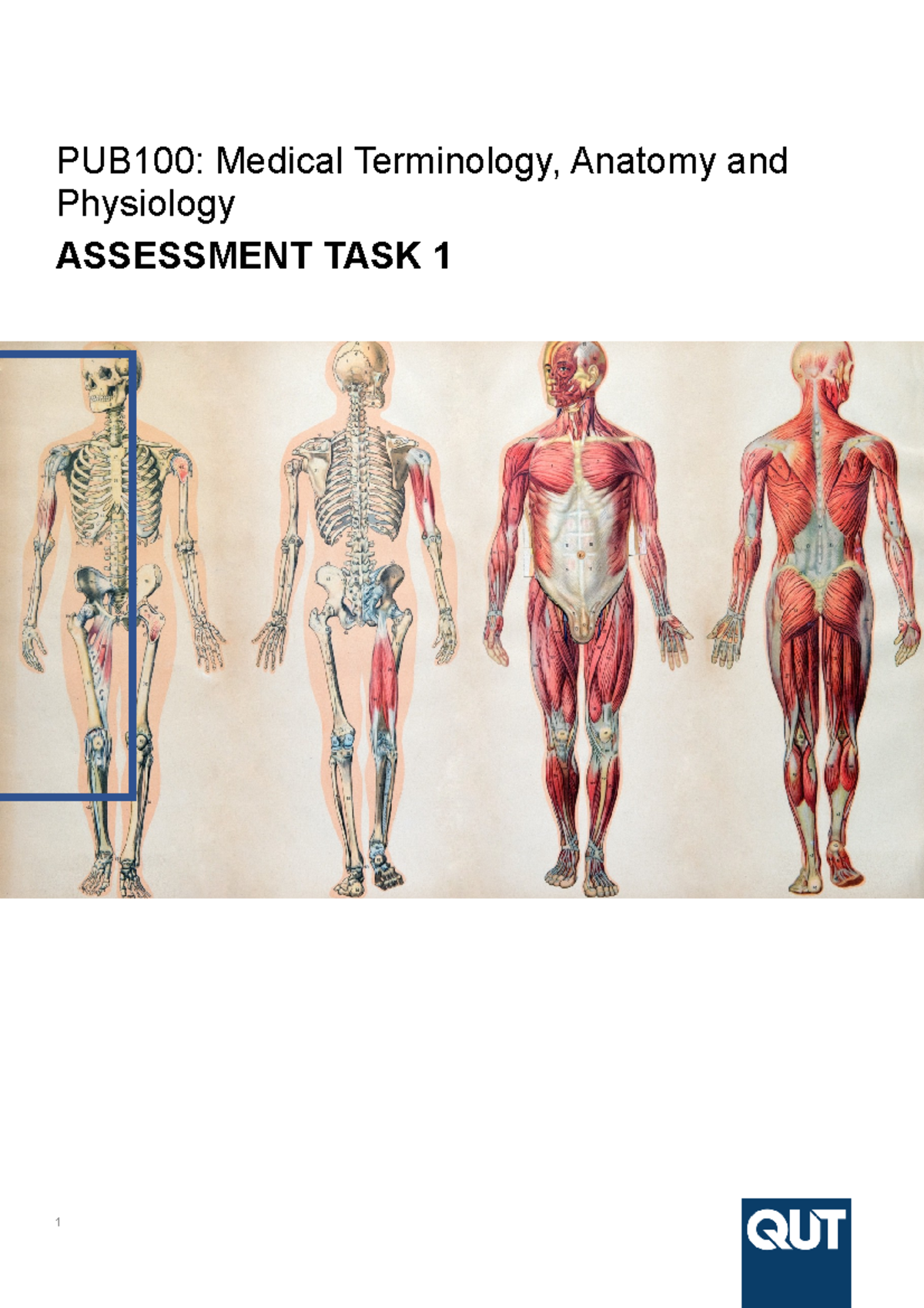 PUB100 Assessment TASK 1 2022 - PUB100: Medical Terminology, Anatomy ...