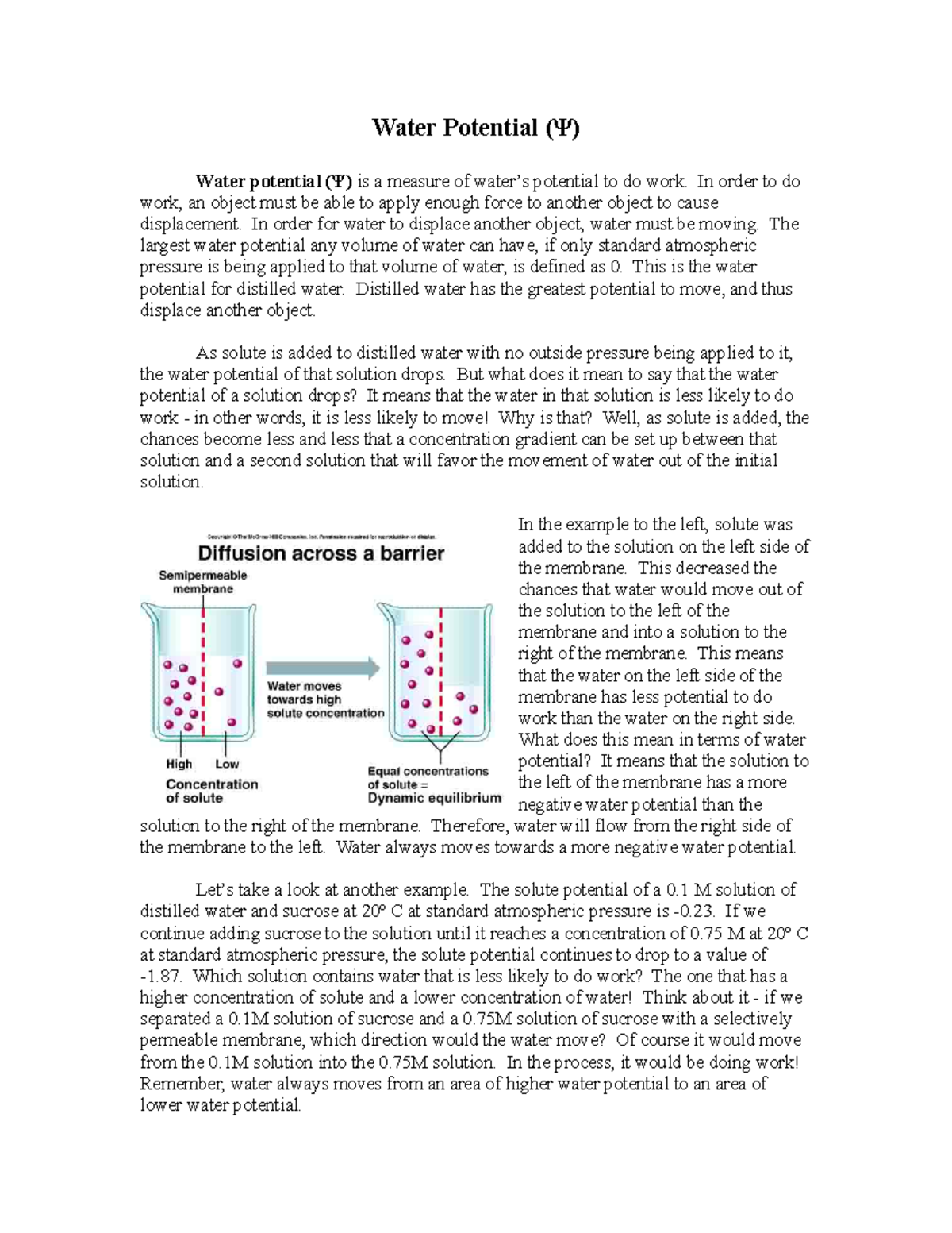 Water Potential explanation Ap bio enzyme Catalase Lab AP bio ap bio ...