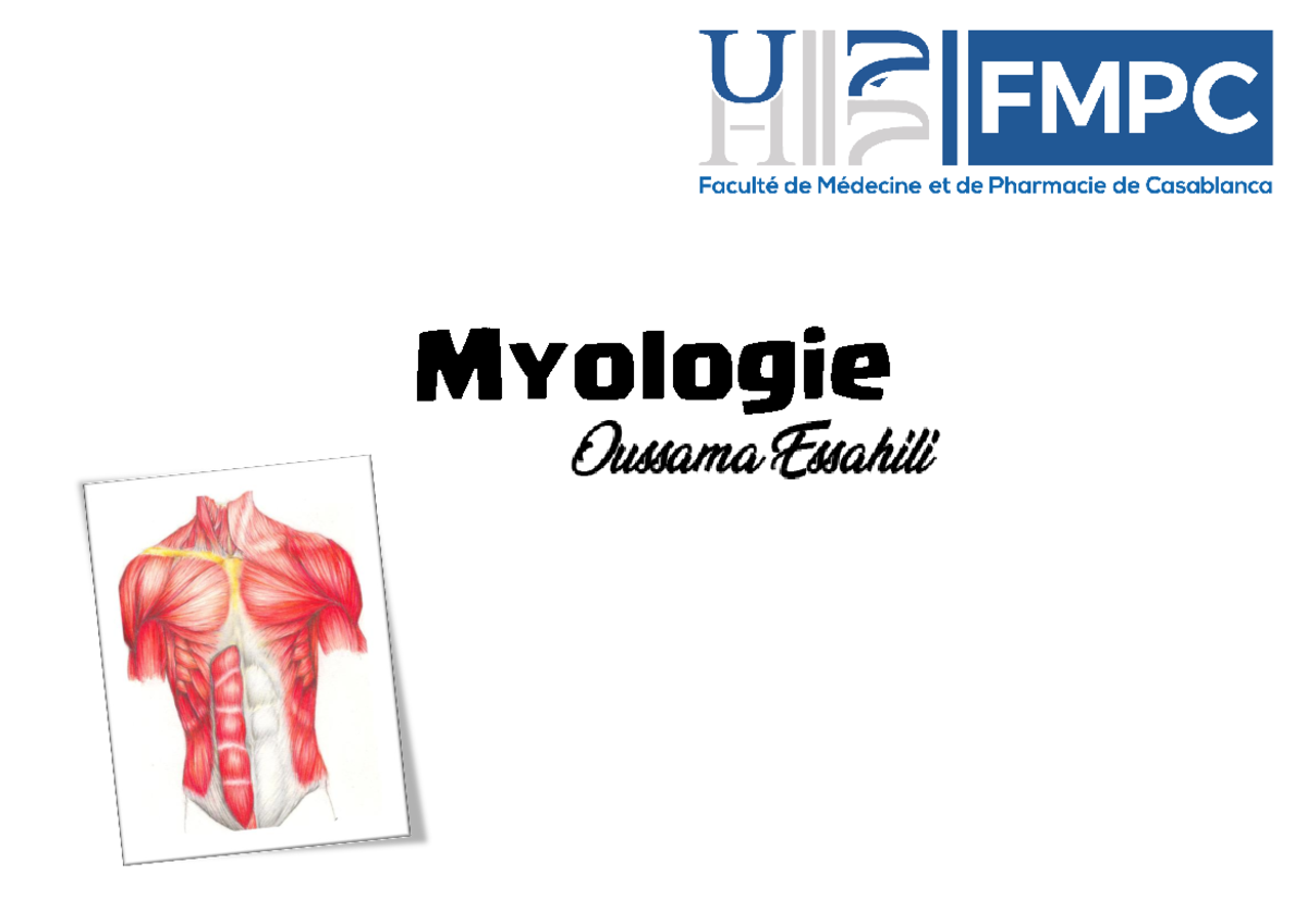 Myologie - Oussama Essahili - Myologie trois faisceaux : f ...