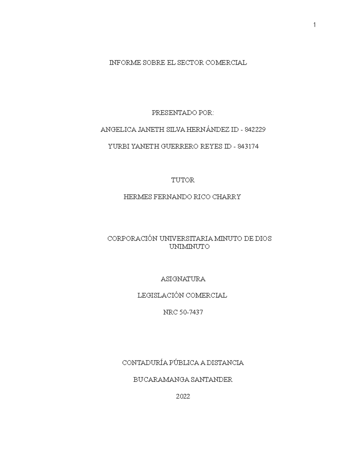 Informe Sector Comercial Y Folleto - INFORME SOBRE EL SECTOR COMERCIAL ...