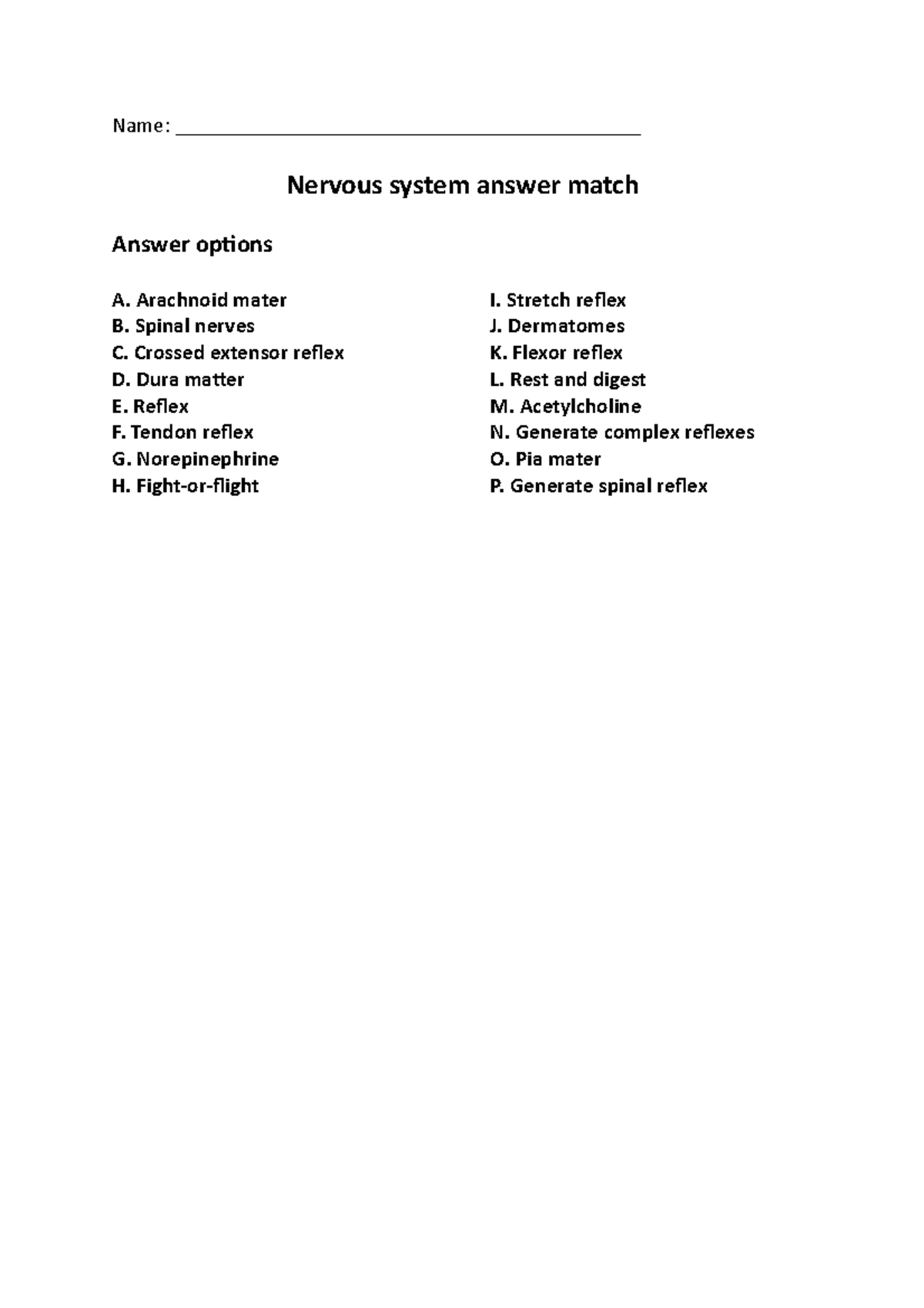 Nervous system word match answers - Name ...