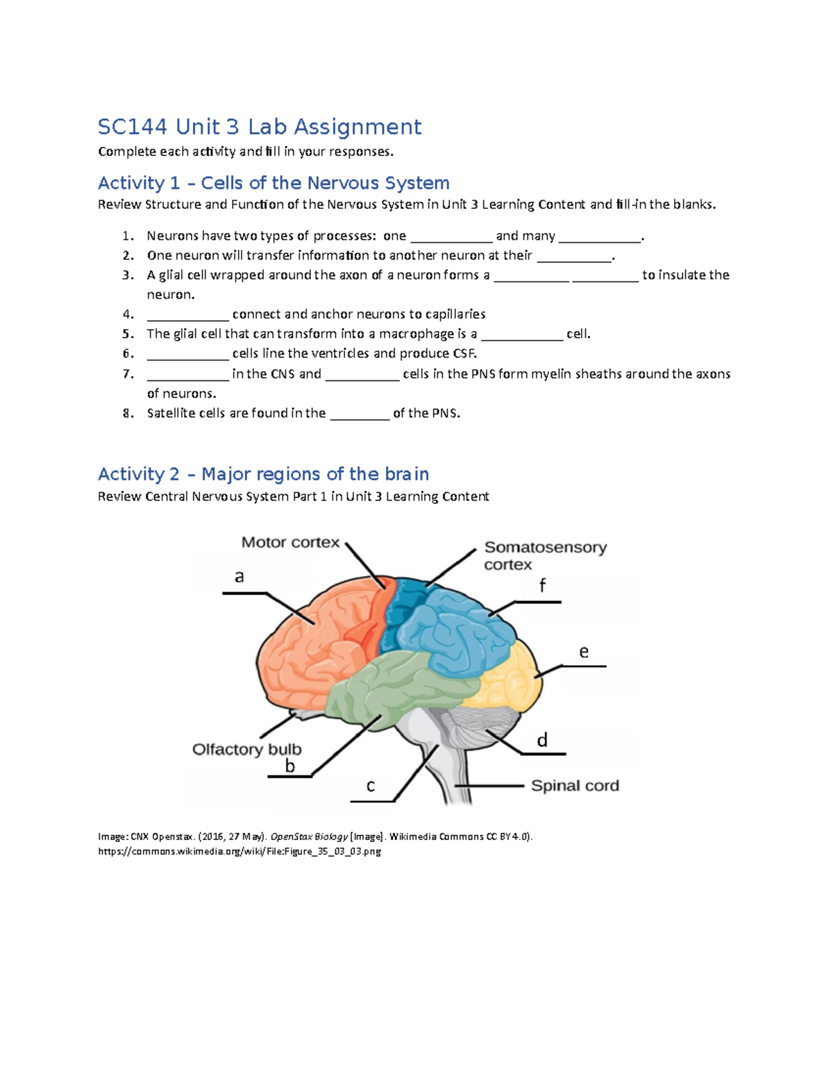 SC144 Unit 3 Lab Assignment Form - SC144 Unit 3 Lab Assignment Complete each activity and fill ...