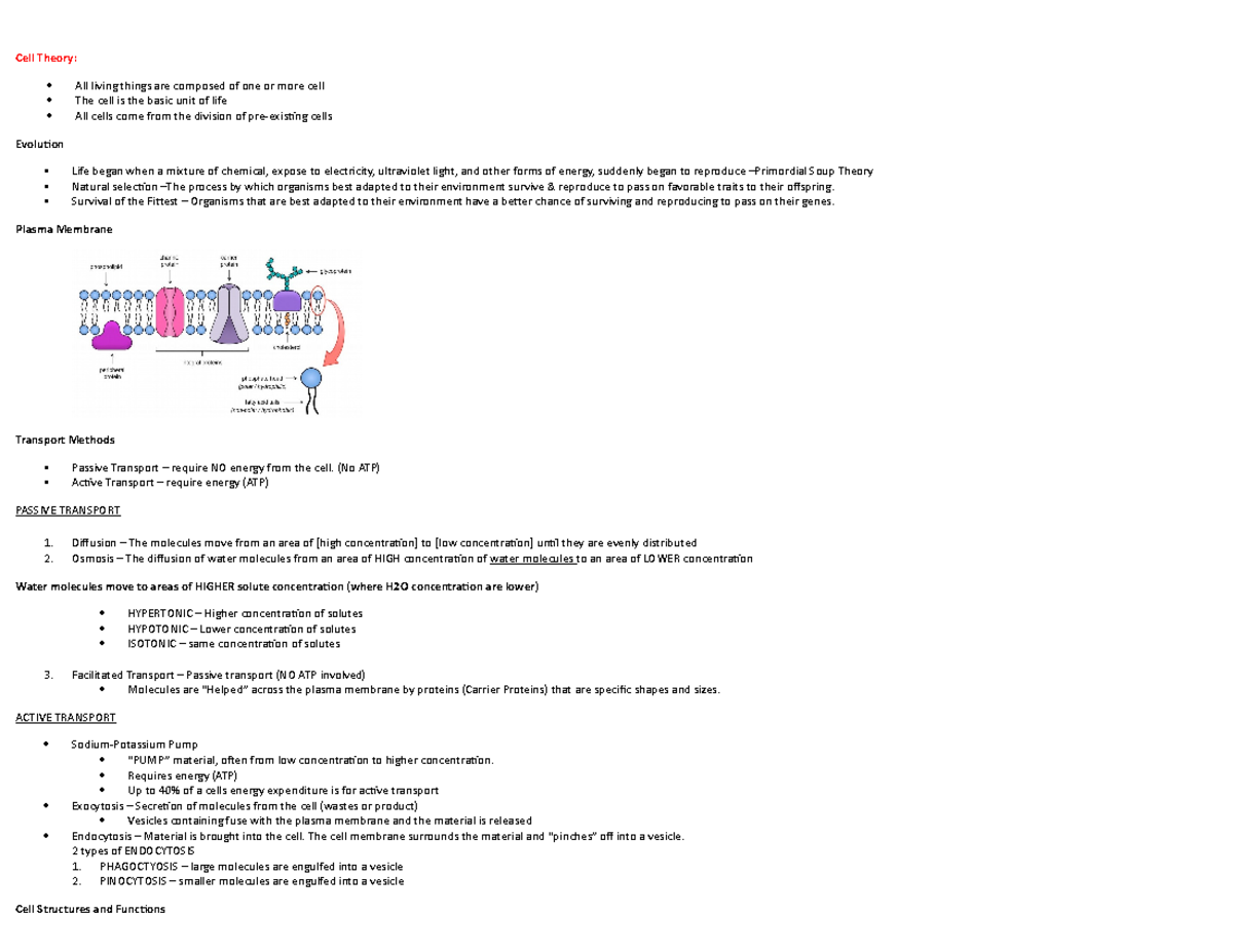 Cell Theory - High school notes to prepare for Uni - Cell Theory: All ...