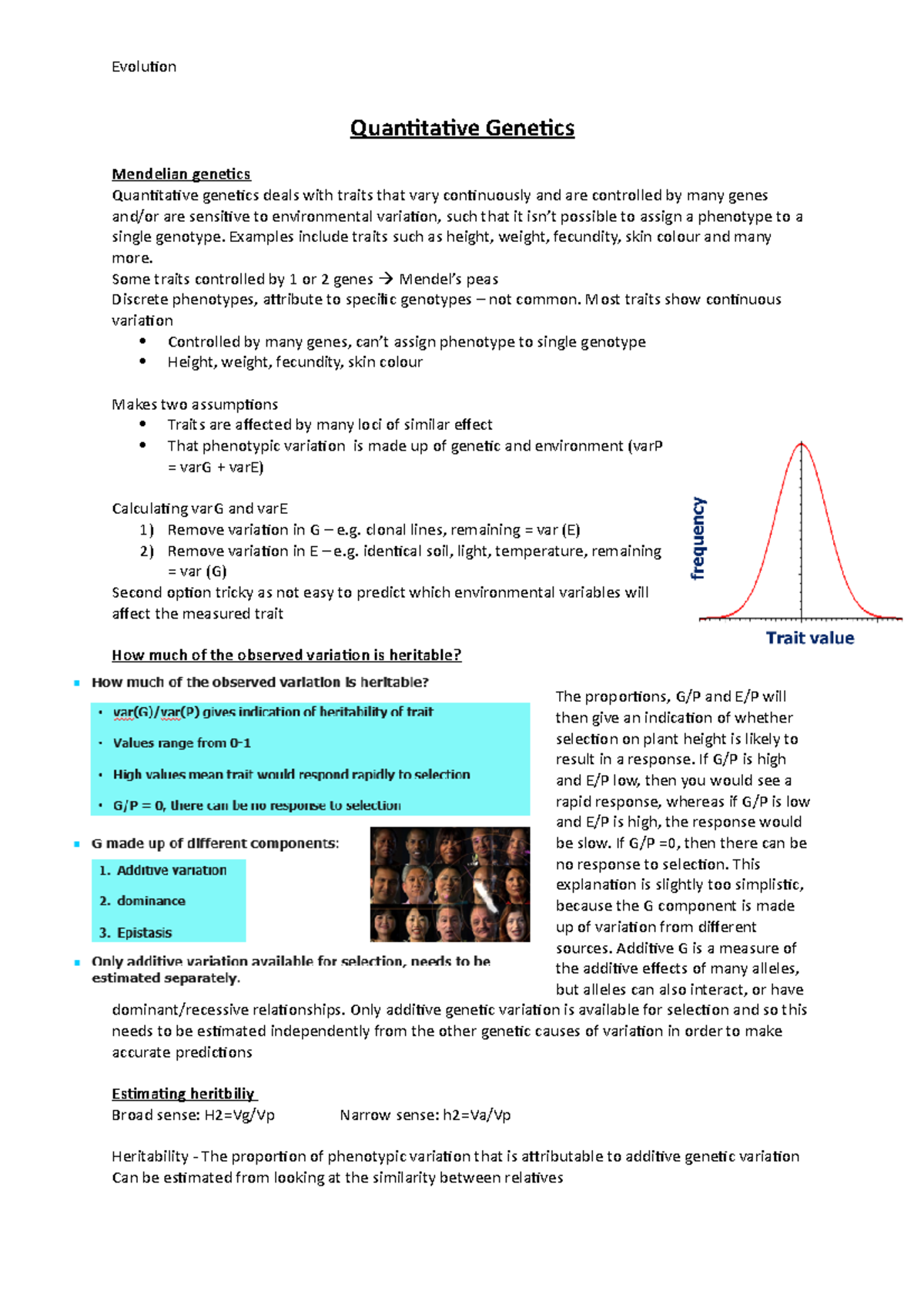 Quantitative Genetics - notes - Quantitative Genetics Mendelian ...