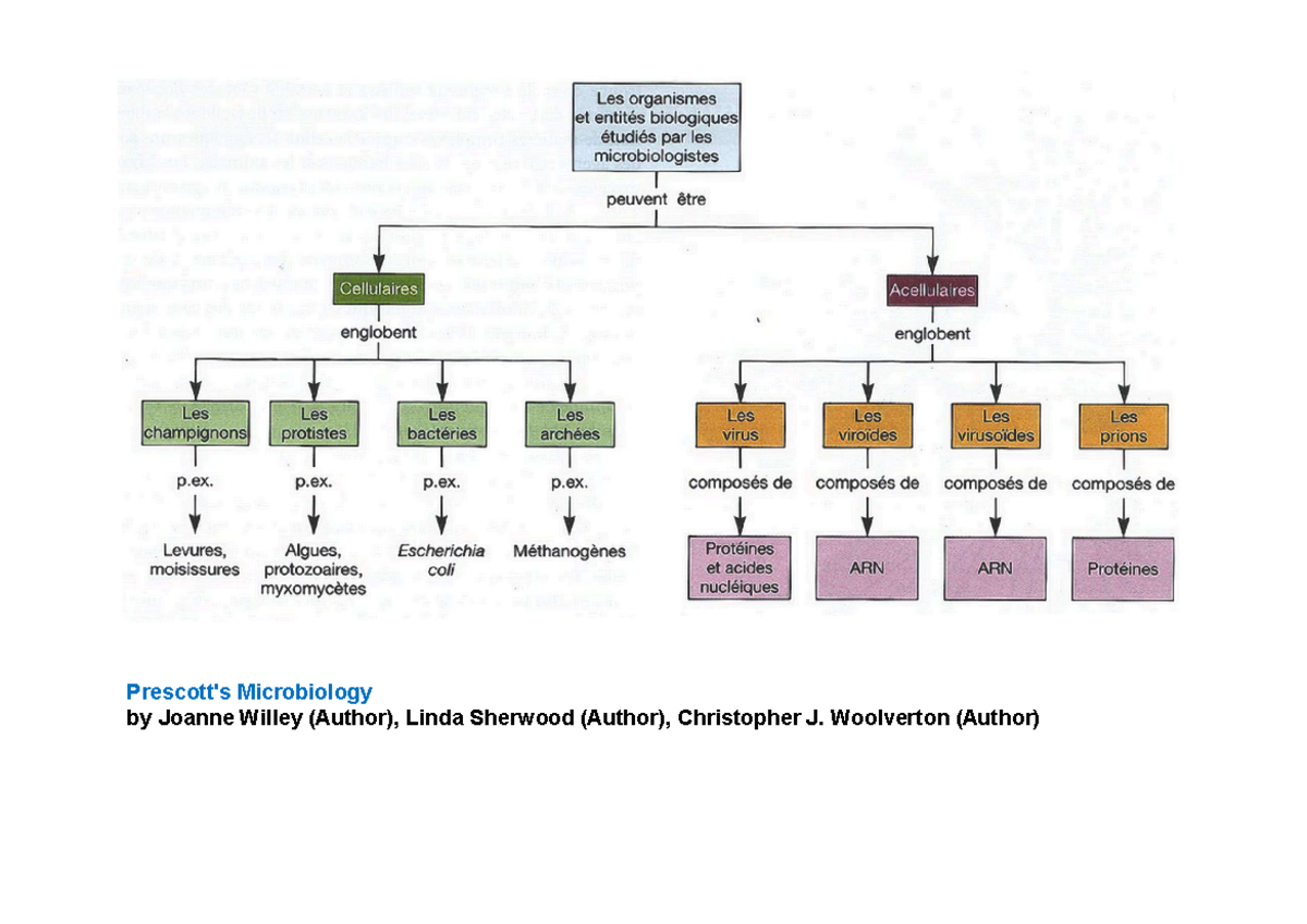 CM2-3 Les Bacteries - l2 microbio bcp - Prescott's Microbiology by Joanne Willey (Author), Linda ...