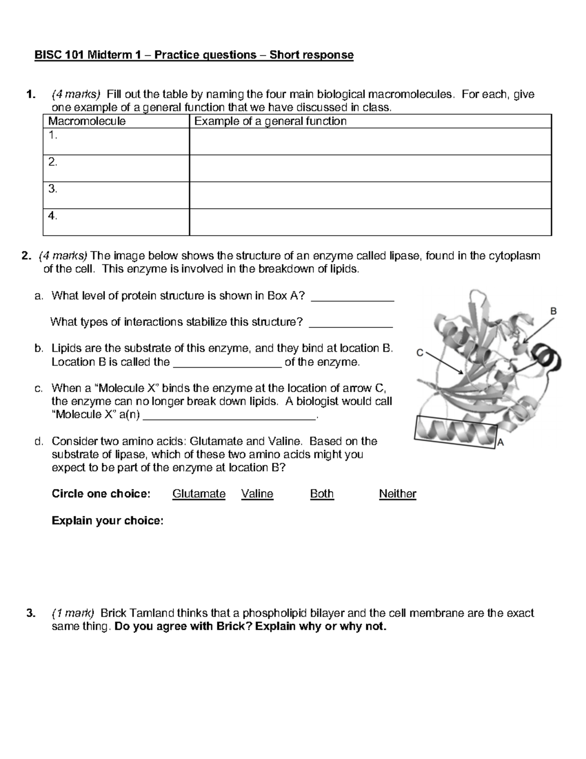 BISC101 Practice Midterm 1 - 1191 Short Response - BISC 101 Midterm 1 ...