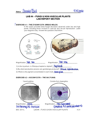 LAB #3 THE Protista - Lab #3 lab report - BSC2011L - Studocu
