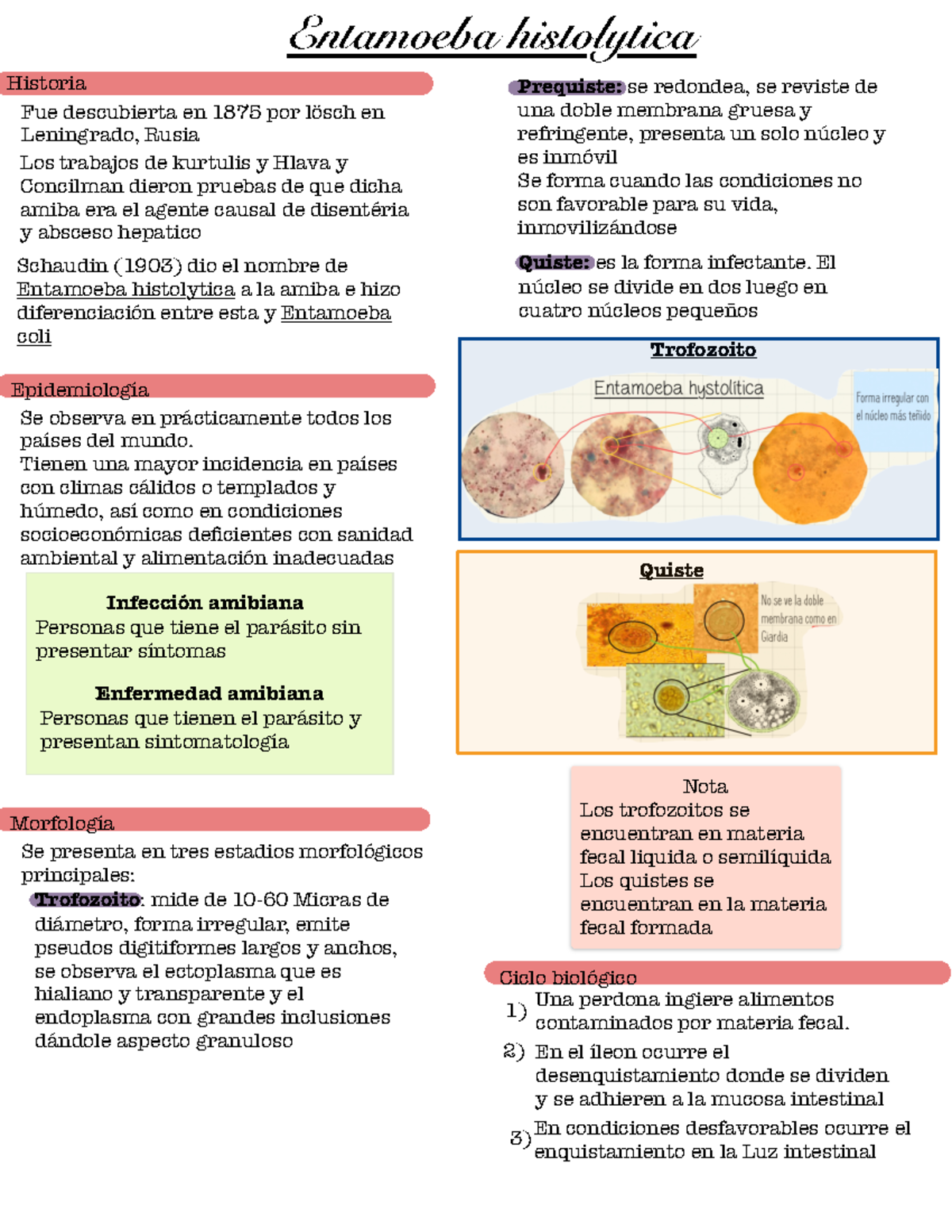 Parasitología - Entamoeba Histolytica - Entamoeba histolytica Historia Fue descubierta en 1875 ...