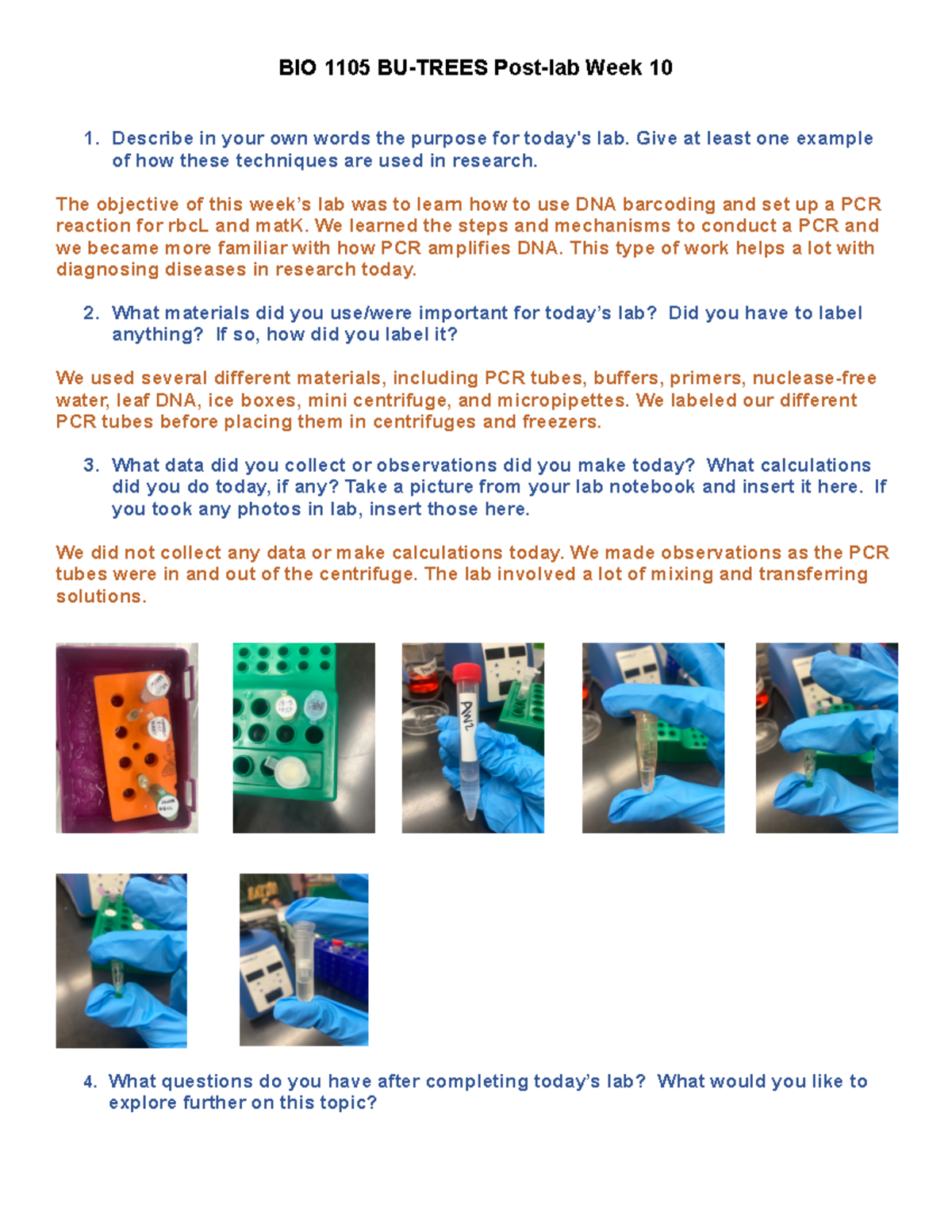 BU- Trees Post-lab Week 10 - BIO 1105 BU-TREES Post-lab Week 10 ...