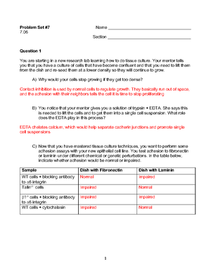 Questions on Problem Set 8 - 1 Problem Set #8 Name ____________________________________ 7 ...