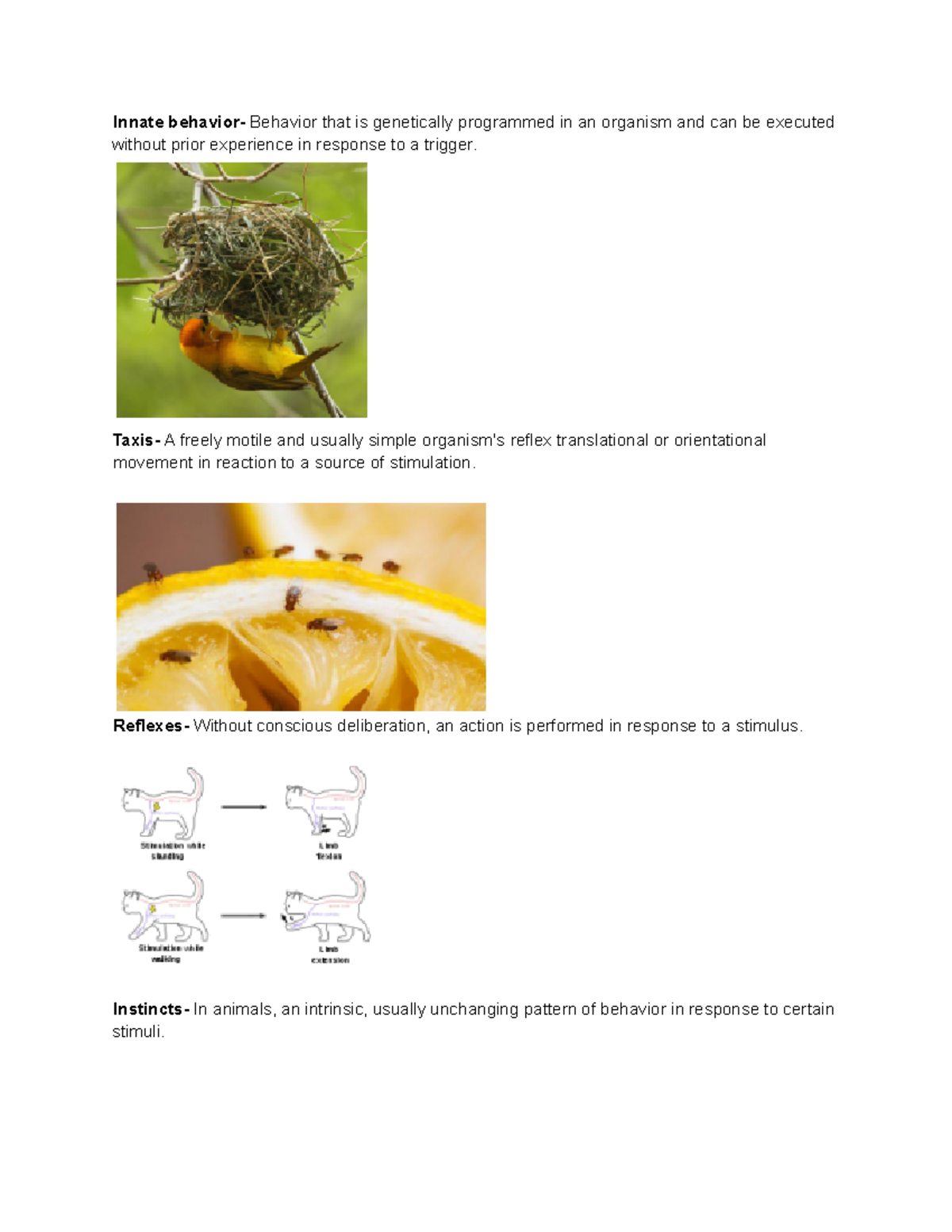 Innate Behavior Activity Examples and Pictures - Innate behavior ...