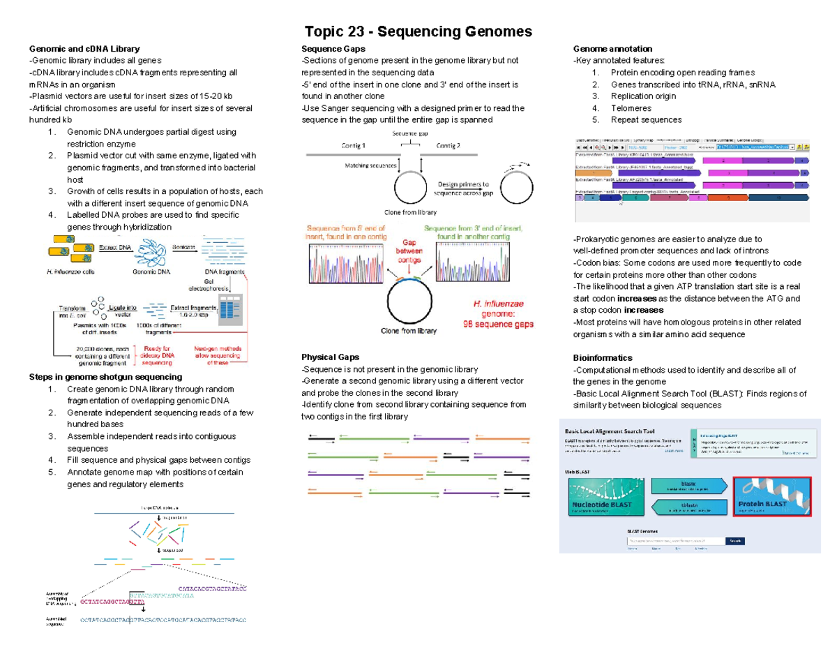 Biochem Cheat Sheet 23 - Topic 23 - Sequencing Genomes Genomic and cDNA ...