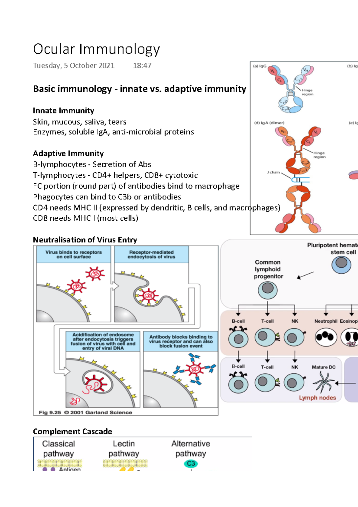 Ocular Immunology Part 1 - Basic immunology - innate vs. adaptive ...