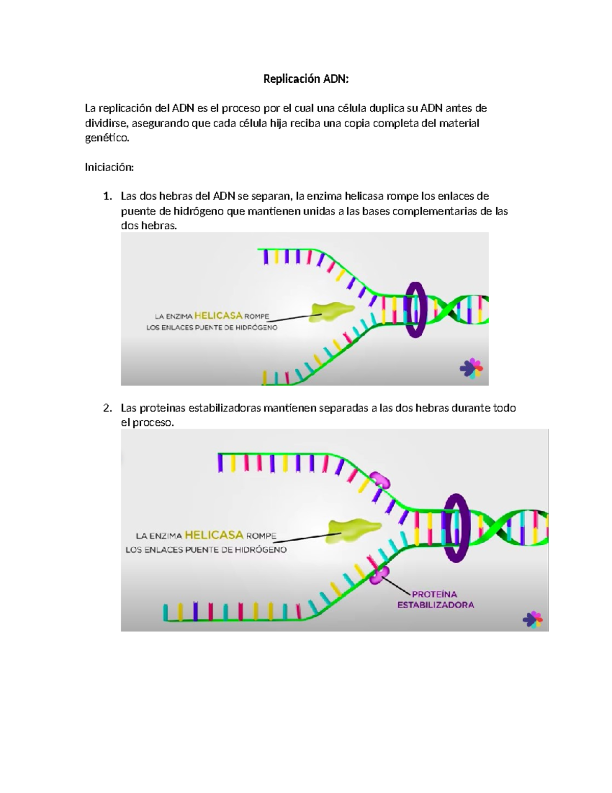 Replicación ADN 2 - Replicación ADN paso a paso - Replicación ADN: La replicación del ADN es el ...