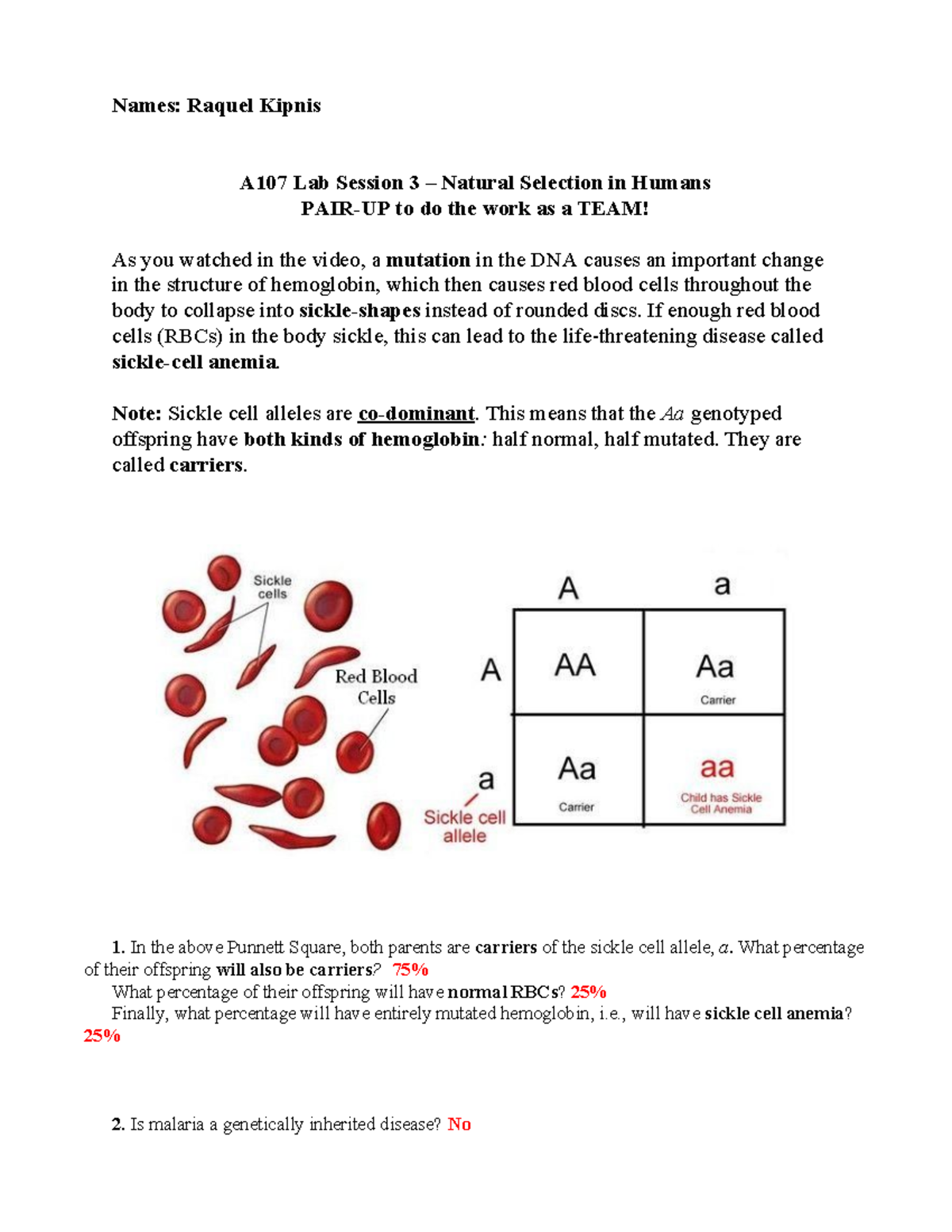 A107 Lab 3 Natural Selection in Humans - Names: Raquel Kipnis A107 Lab ...