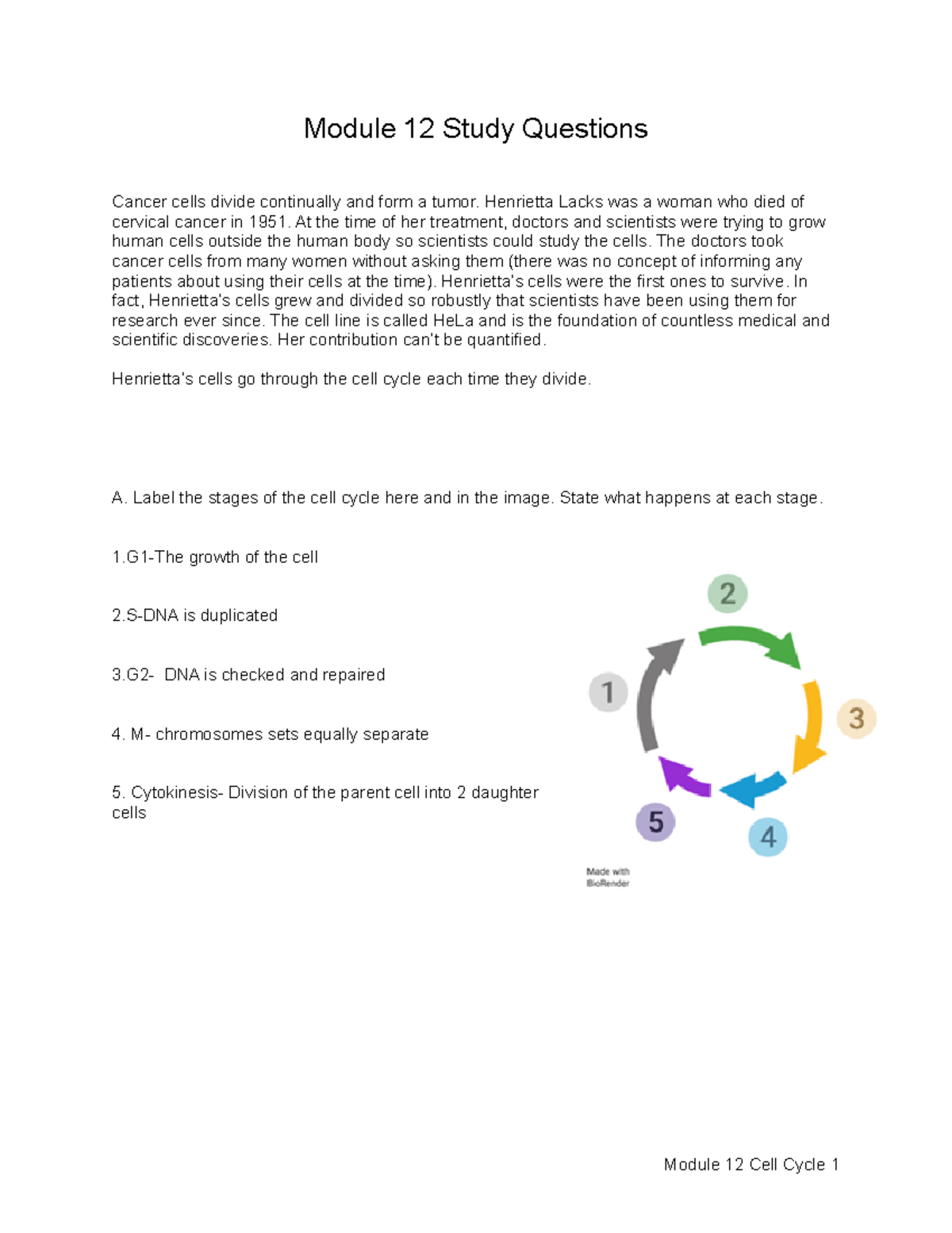 Module 12 Study Questions - Module 12 Study Questions Cancer cells ...