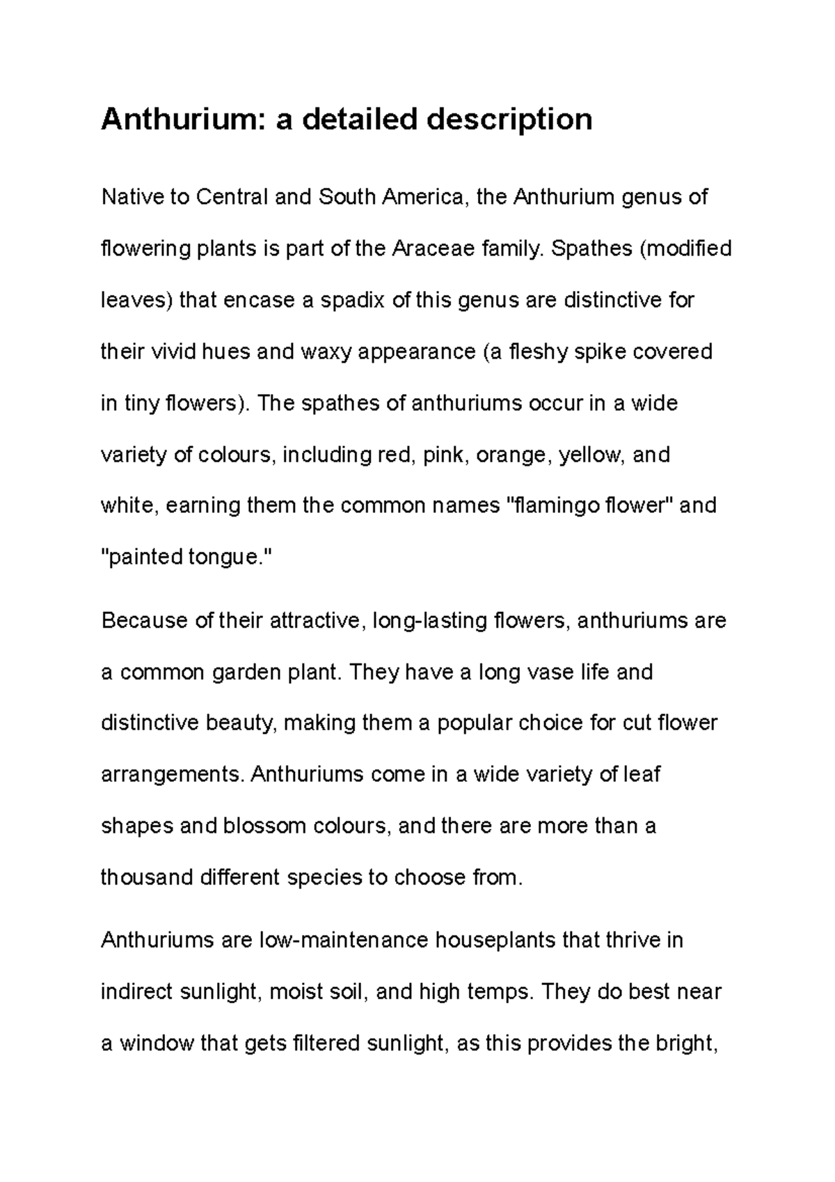Anthurium a detailed description - Anthurium: a detailed description ...