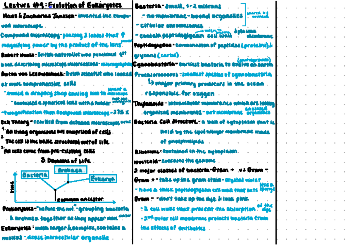 BIO 201 - Cell Biology Notes - Lecture #9:Evolution of Eukaryotes ...