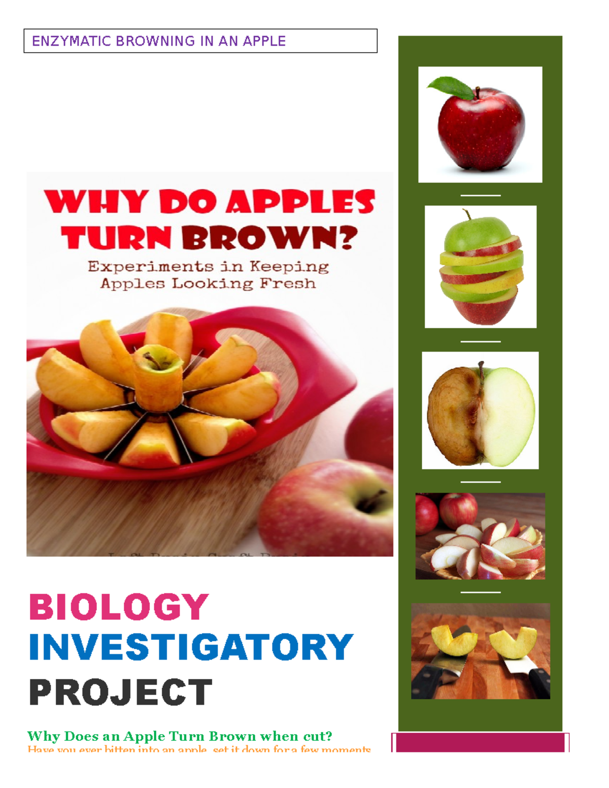 Sippy Biology Investigatory - BIOLOGY INVESTIGATORY PROJECT Why Does an ...