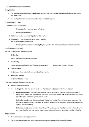Planes, Concepts - General Orientation to Human Anatomy Anatomical ...