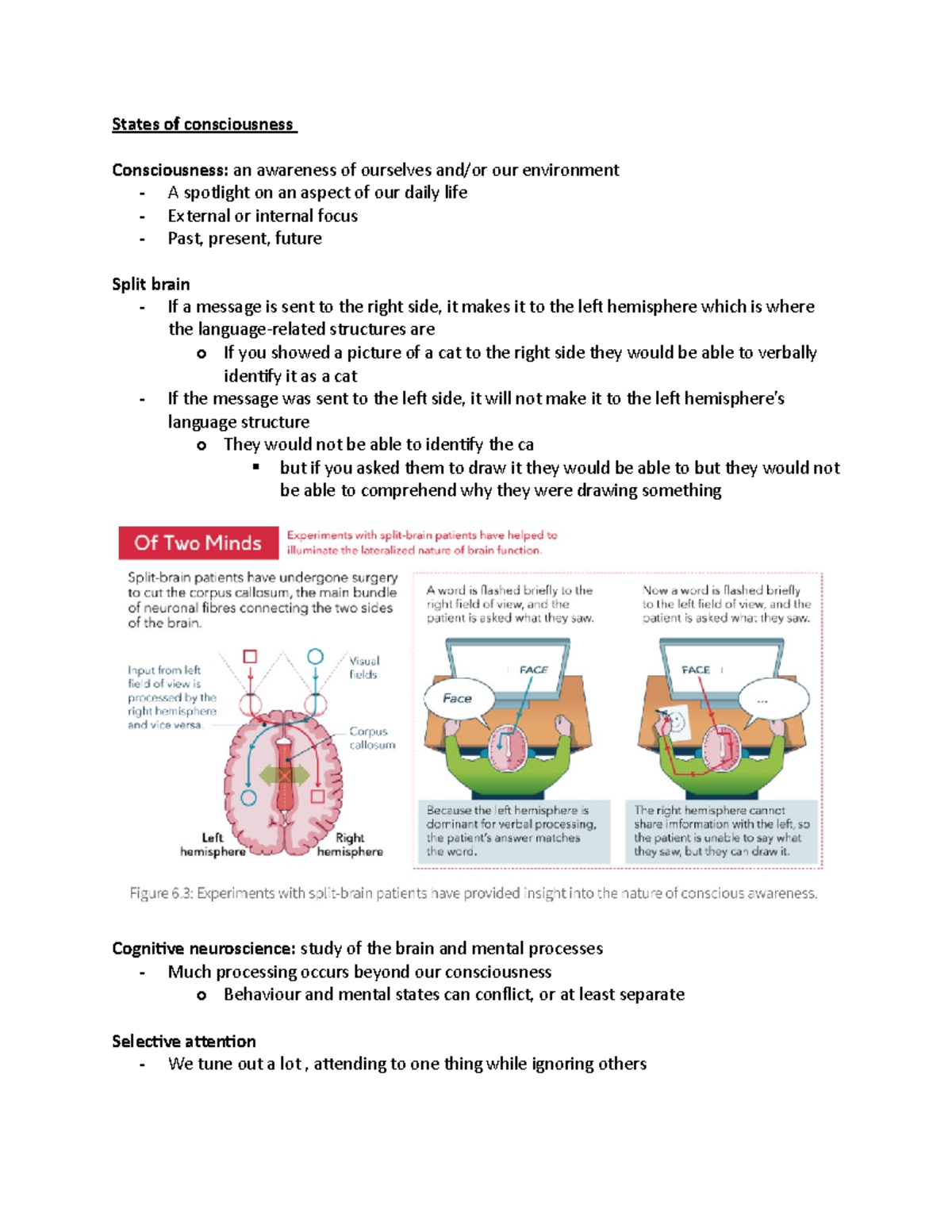 Module 6- States of consciousness - States of consciousness ...